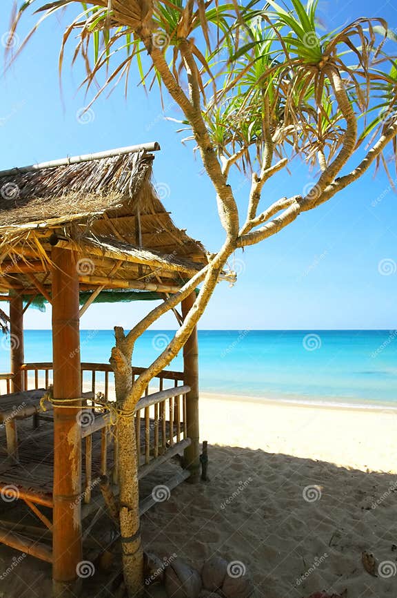 Hut stock image. Image of sand, crib, mangrove, summer - 3785719