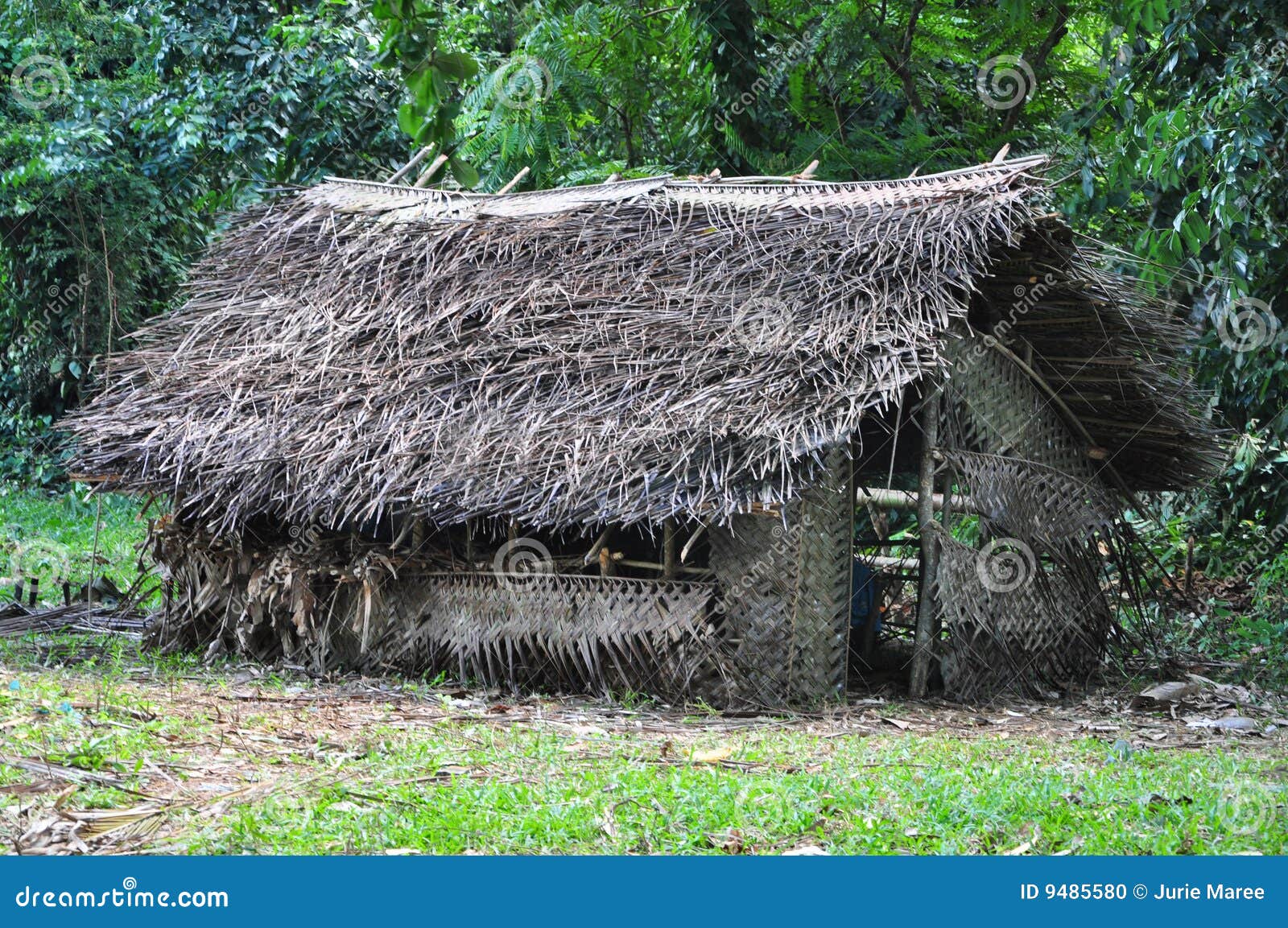 Hut stock photo. Image of home, leave, house, plant, tree - 9485580