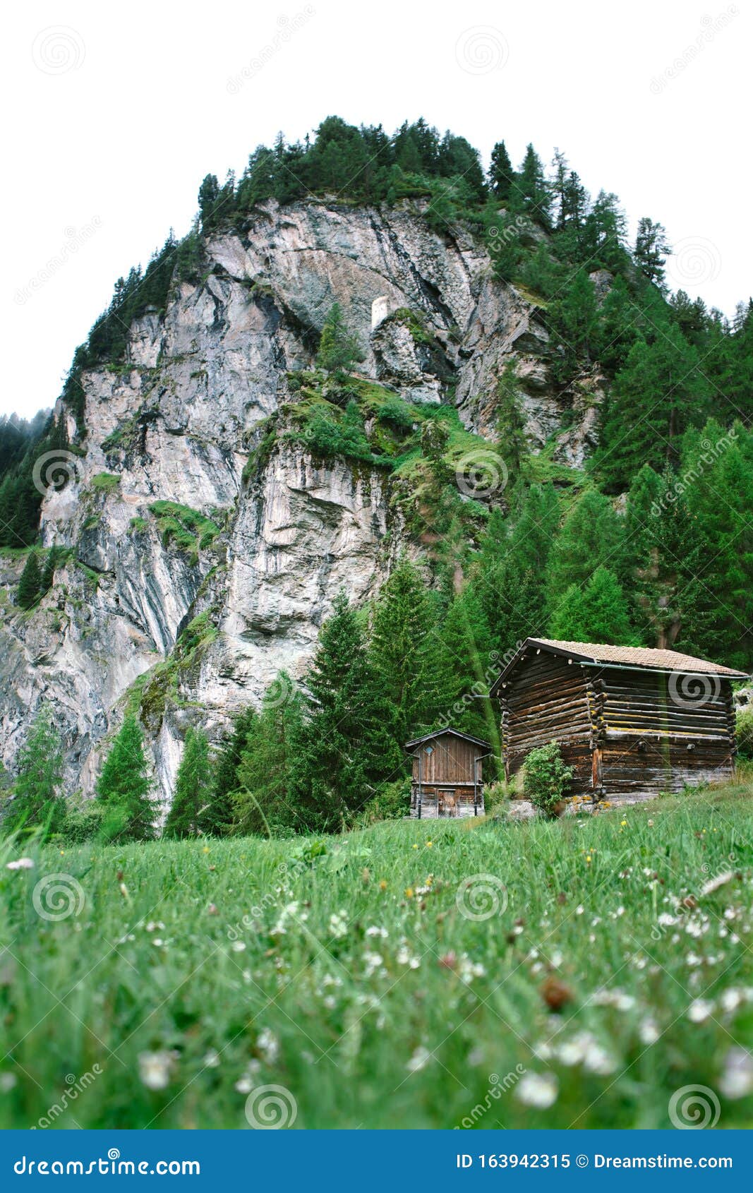 Hut Alone in the Middle of a Forest Stock Image - Image of mood, forest ...