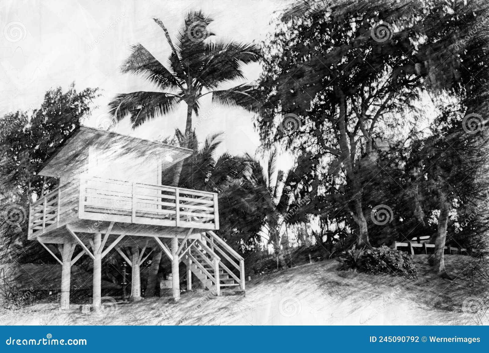 Hut on Beach with Palm Trees in Pencil Drawing Style Stock Photo ...