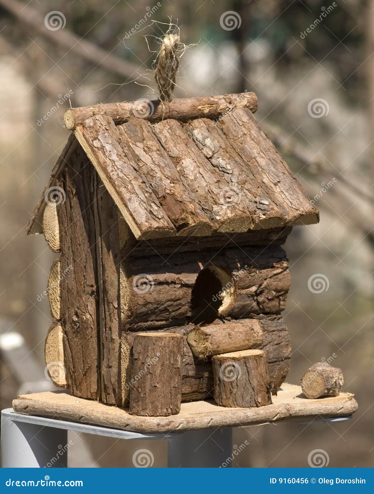 Hut for birds stock photo. Image of pine, wildlife, house - 9160456