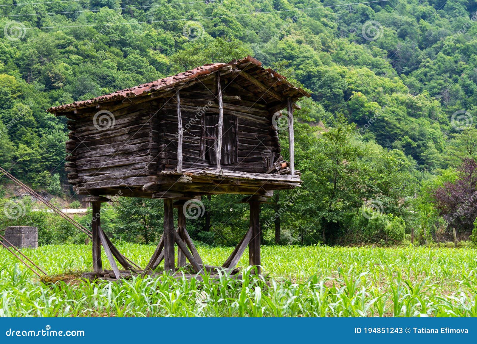 The Hut on Chicken Legs Surrounded by Greenery Stock Image - Image of ...