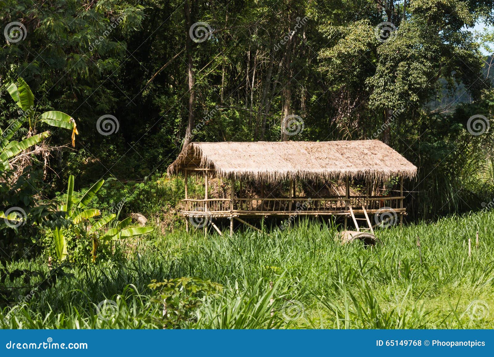 Hut at countryside stock photo. Image of outdoor, early - 65149768