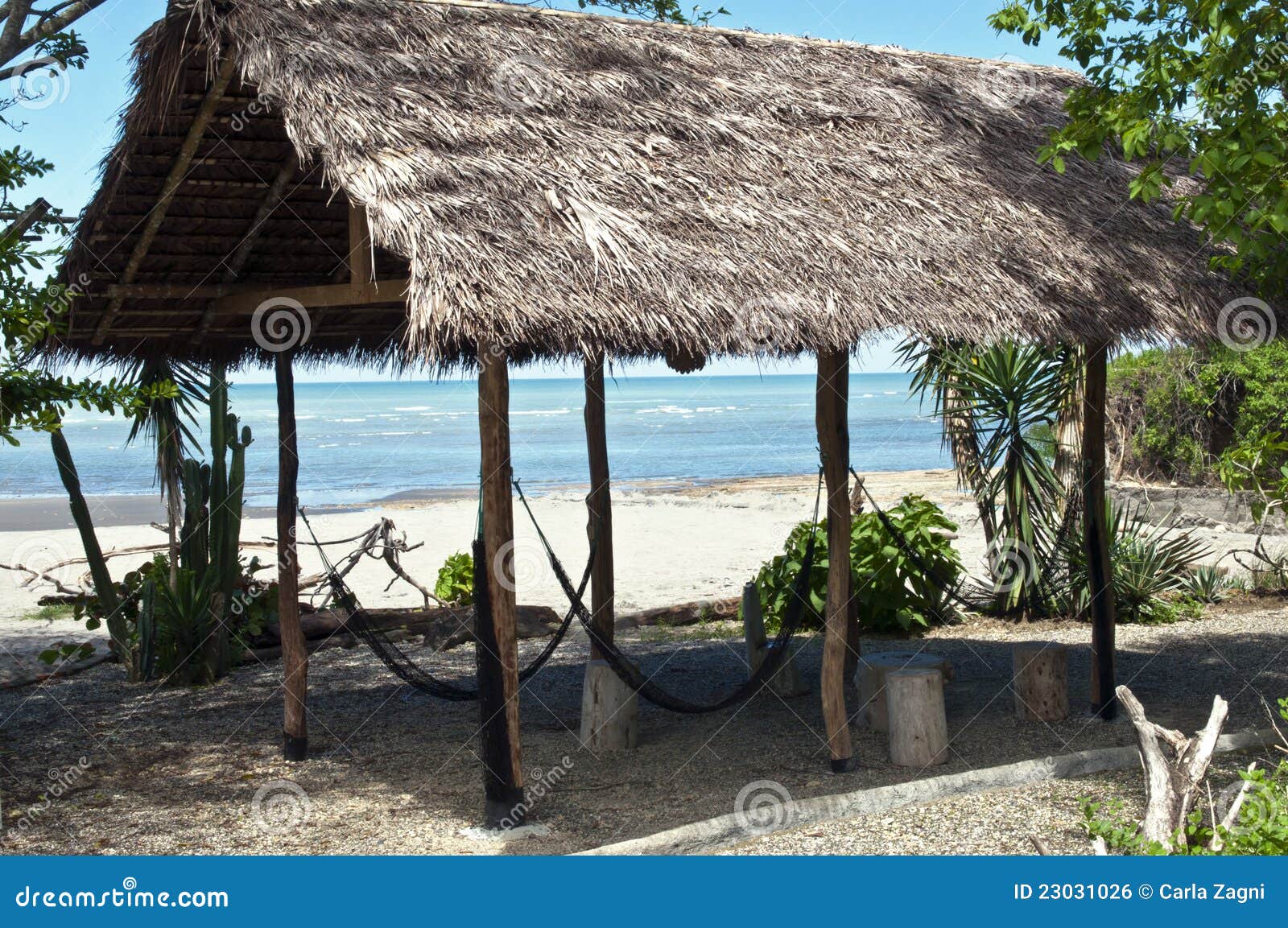 Hut on a deserted beach stock photo. Image of america - 23031026