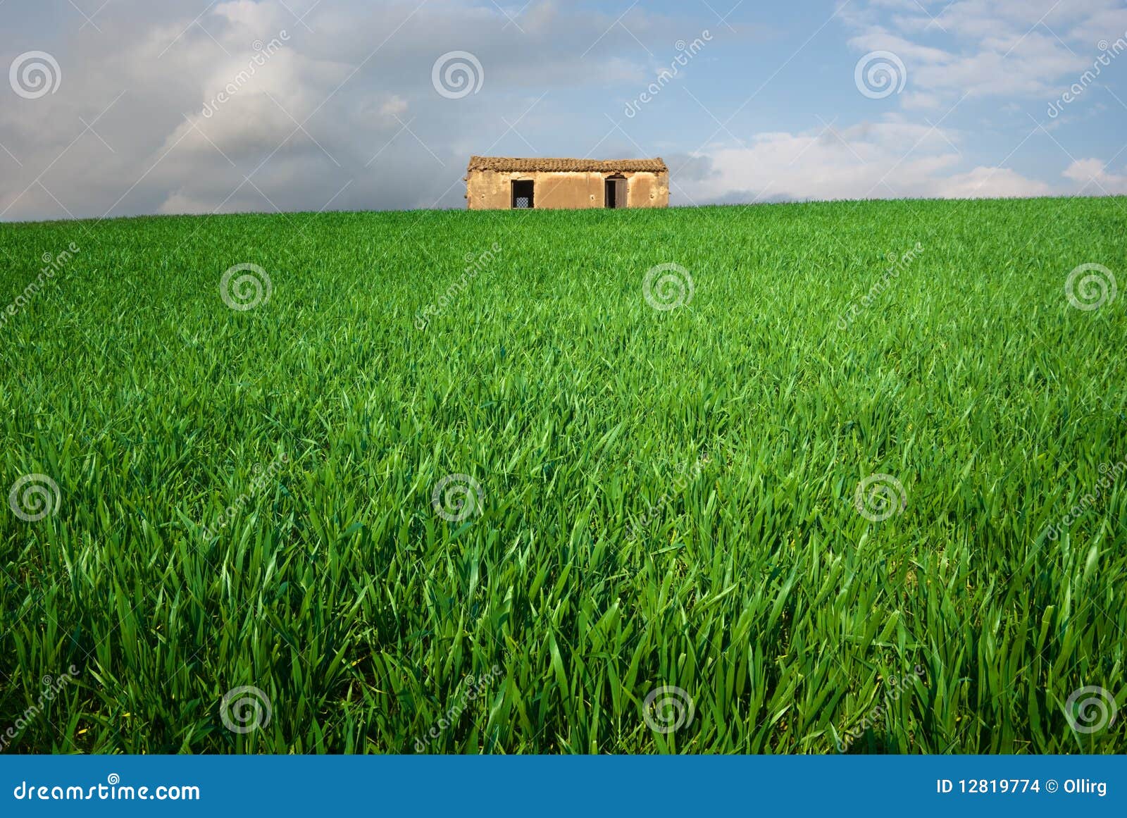 Hut in farm field stock photo. Image of horizon, cultivated - 12819774