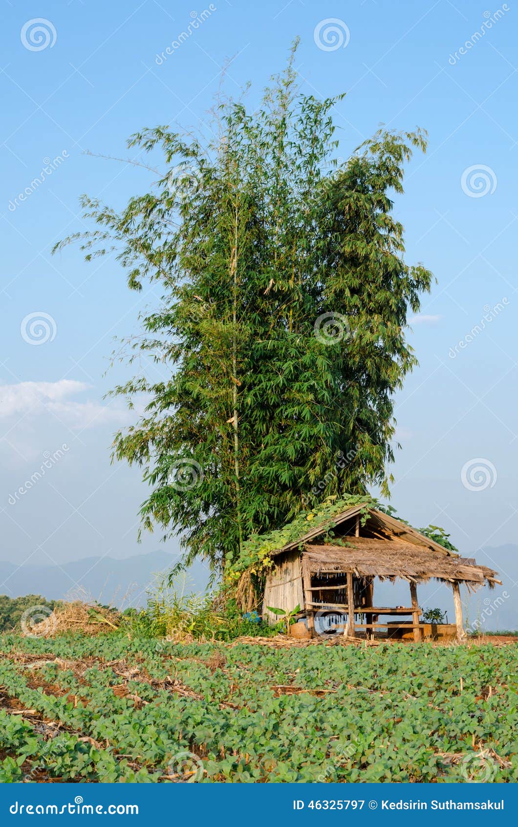 Hut in farmland stock image. Image of farmland, alps - 46325797