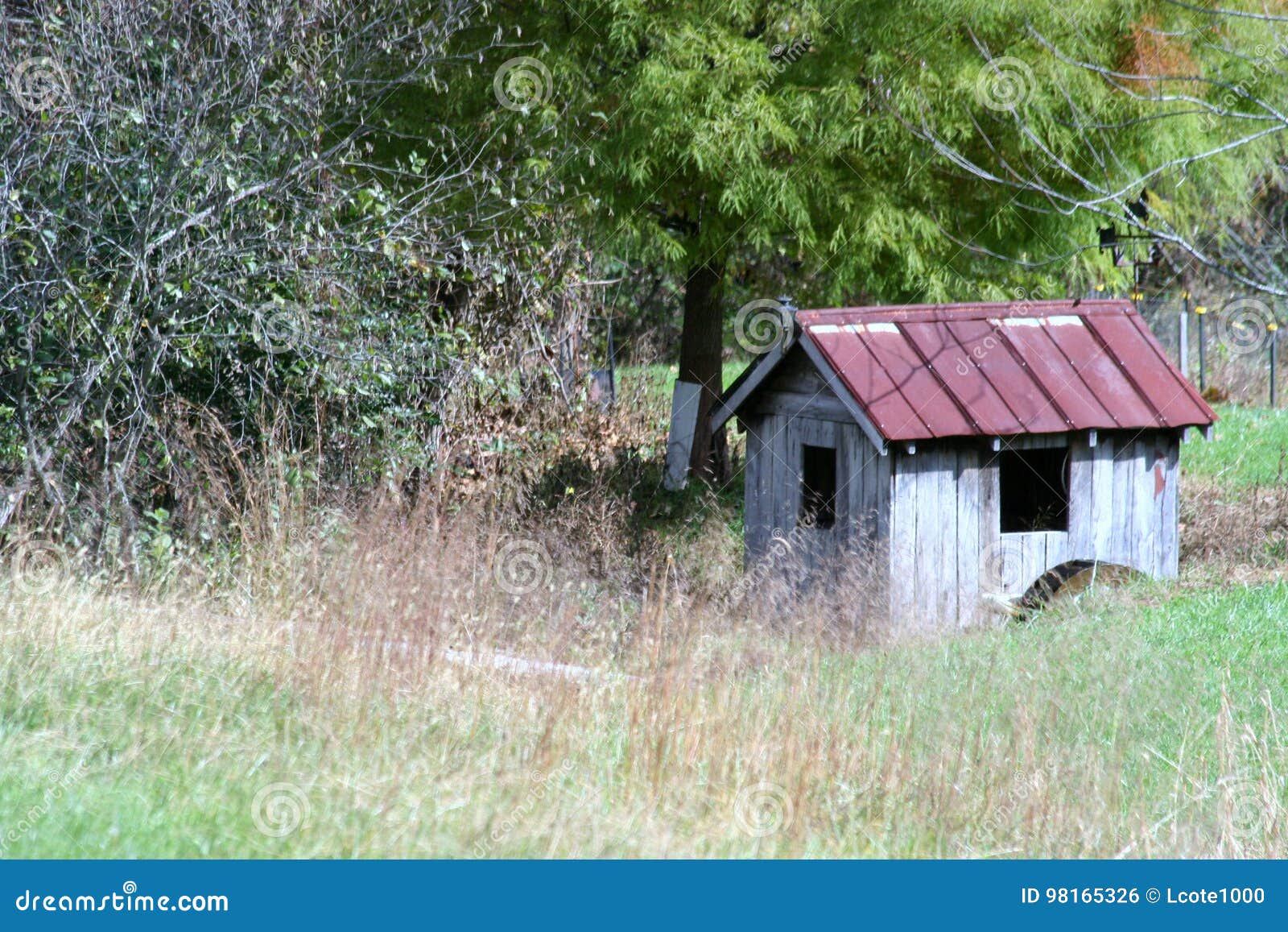 Hut in field stock photo. Image of blurred, fields, backround - 98165326