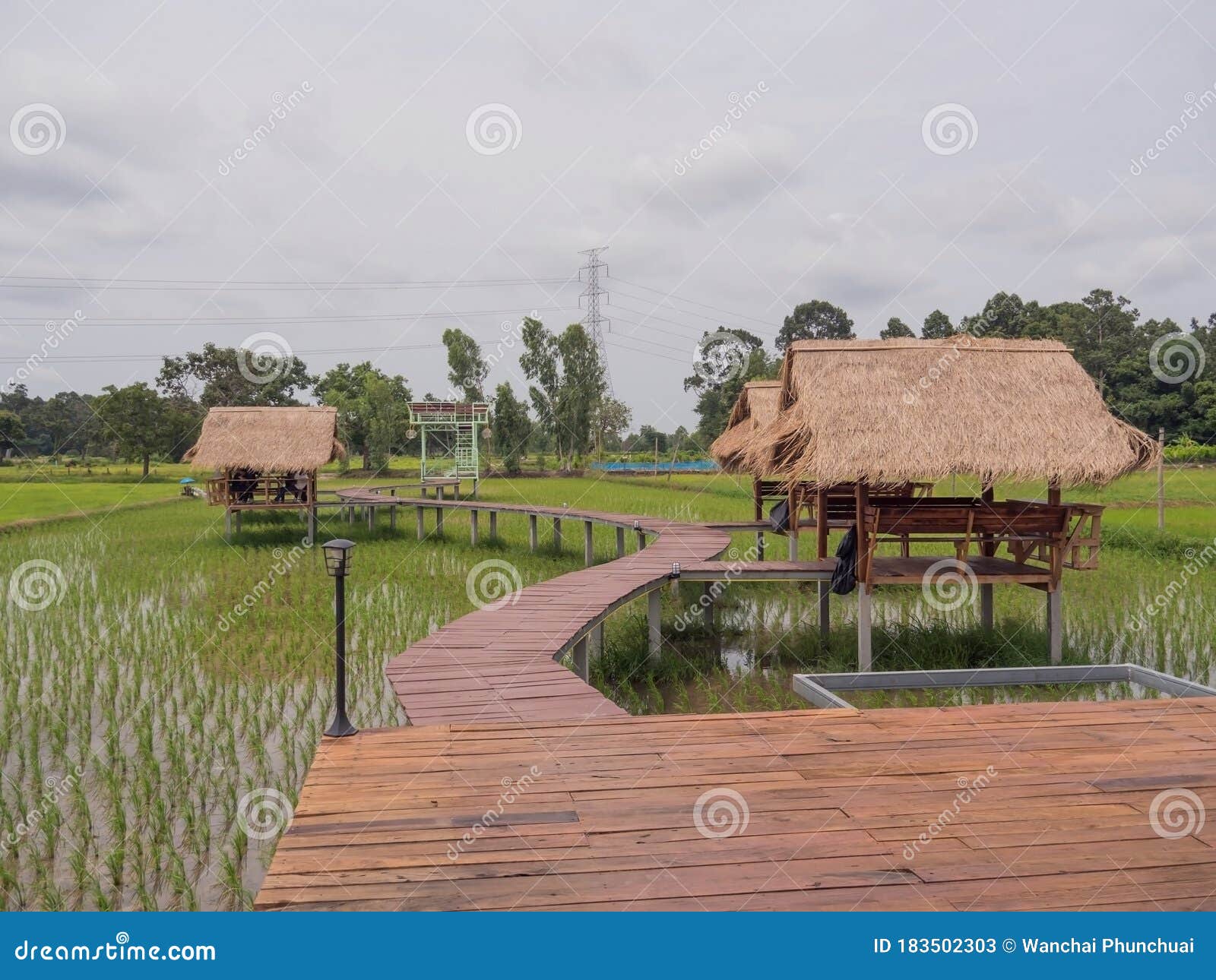 A Hut in the Fields and a Bridge To Connect Stock Image - Image of ...