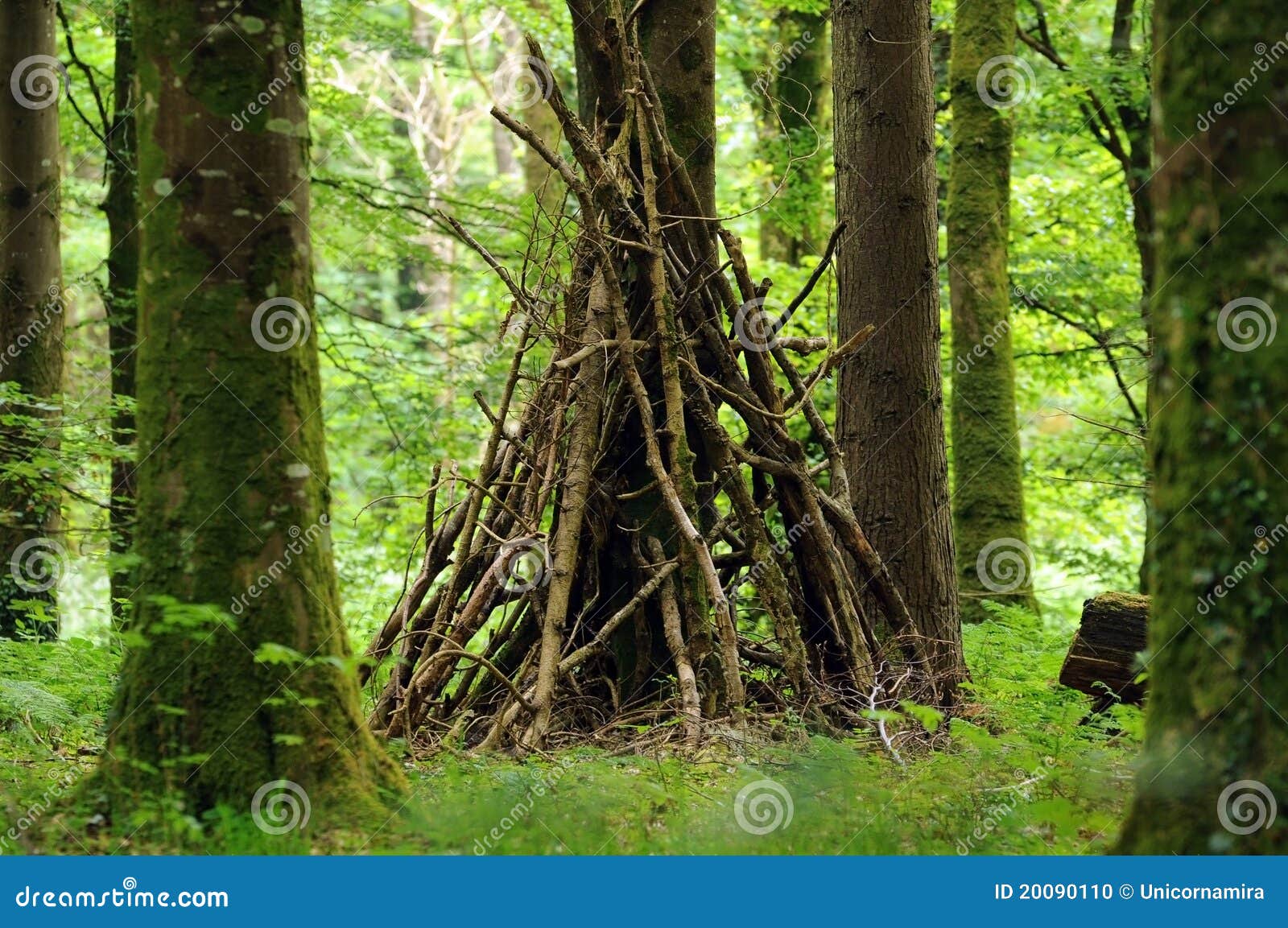 Hut in forest stock photo. Image of ireland, relaxation - 20090110