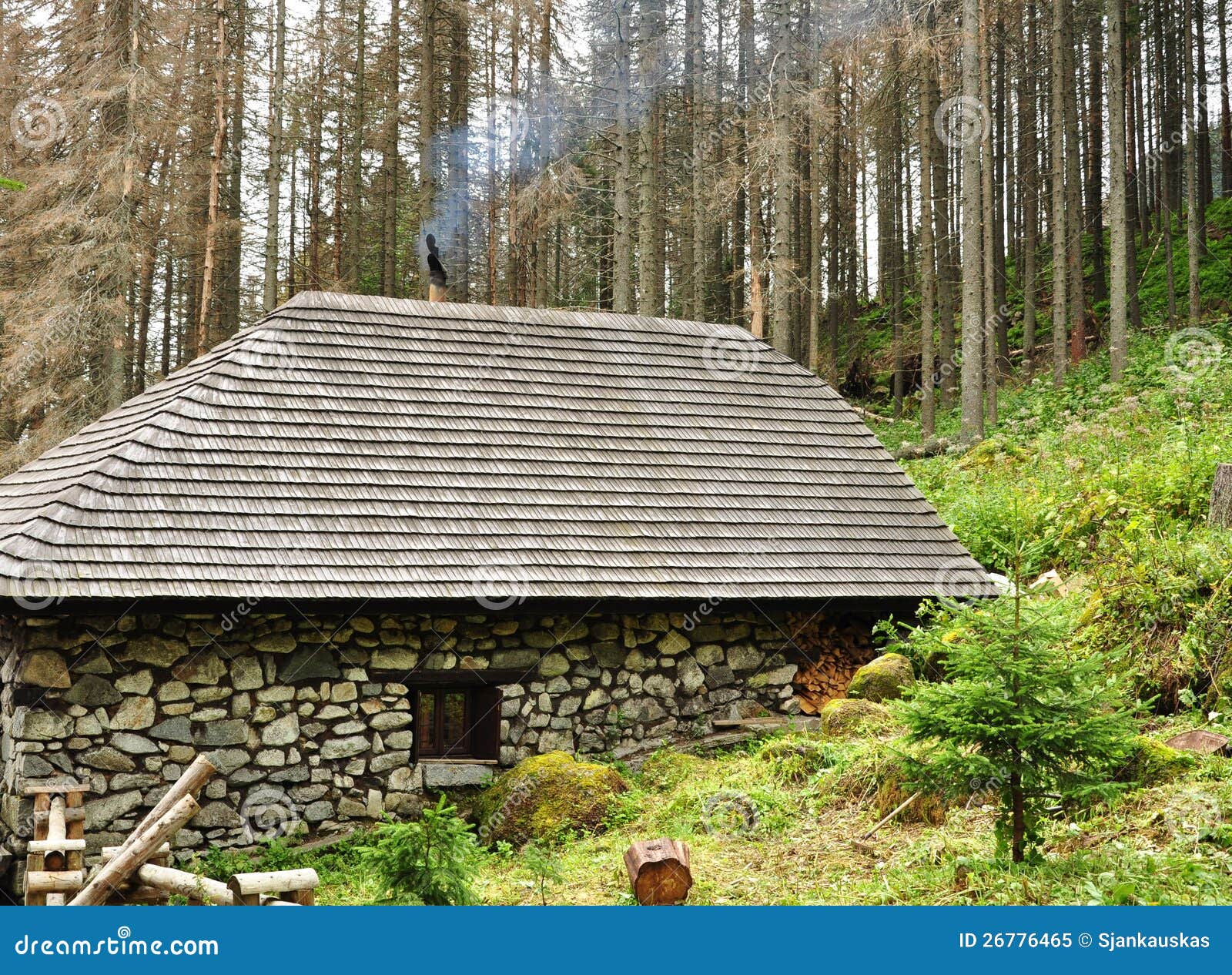 Hut in the forest stock image. Image of exterior, natural - 26776465