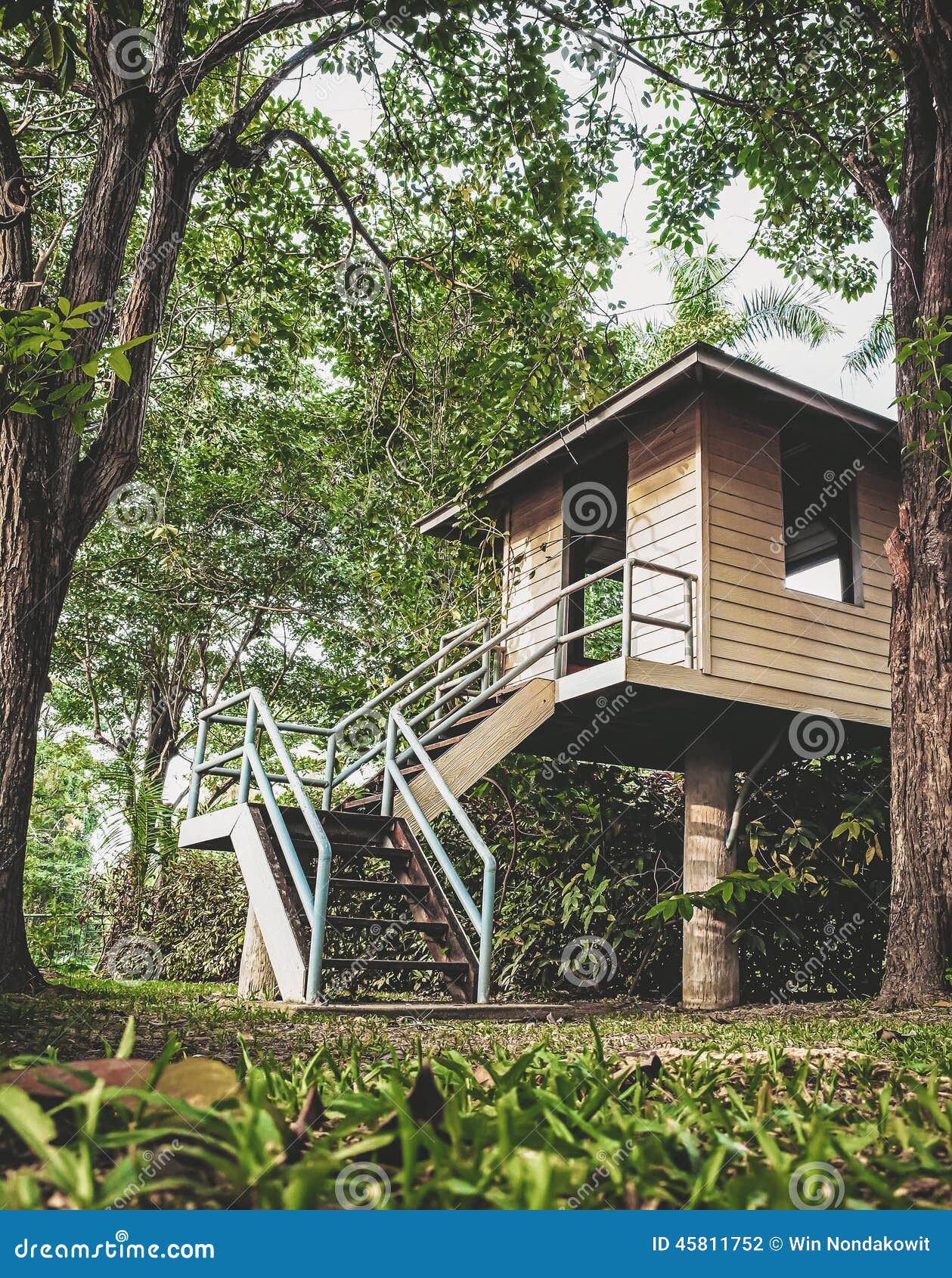 Hut in the forest stock photo. Image of rest, dwelling - 45811752