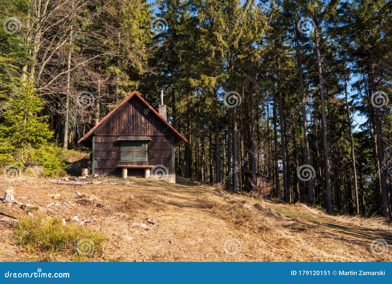 Hut in the Forest Illuminated by the Morning Sun Stock Image - Image of ...