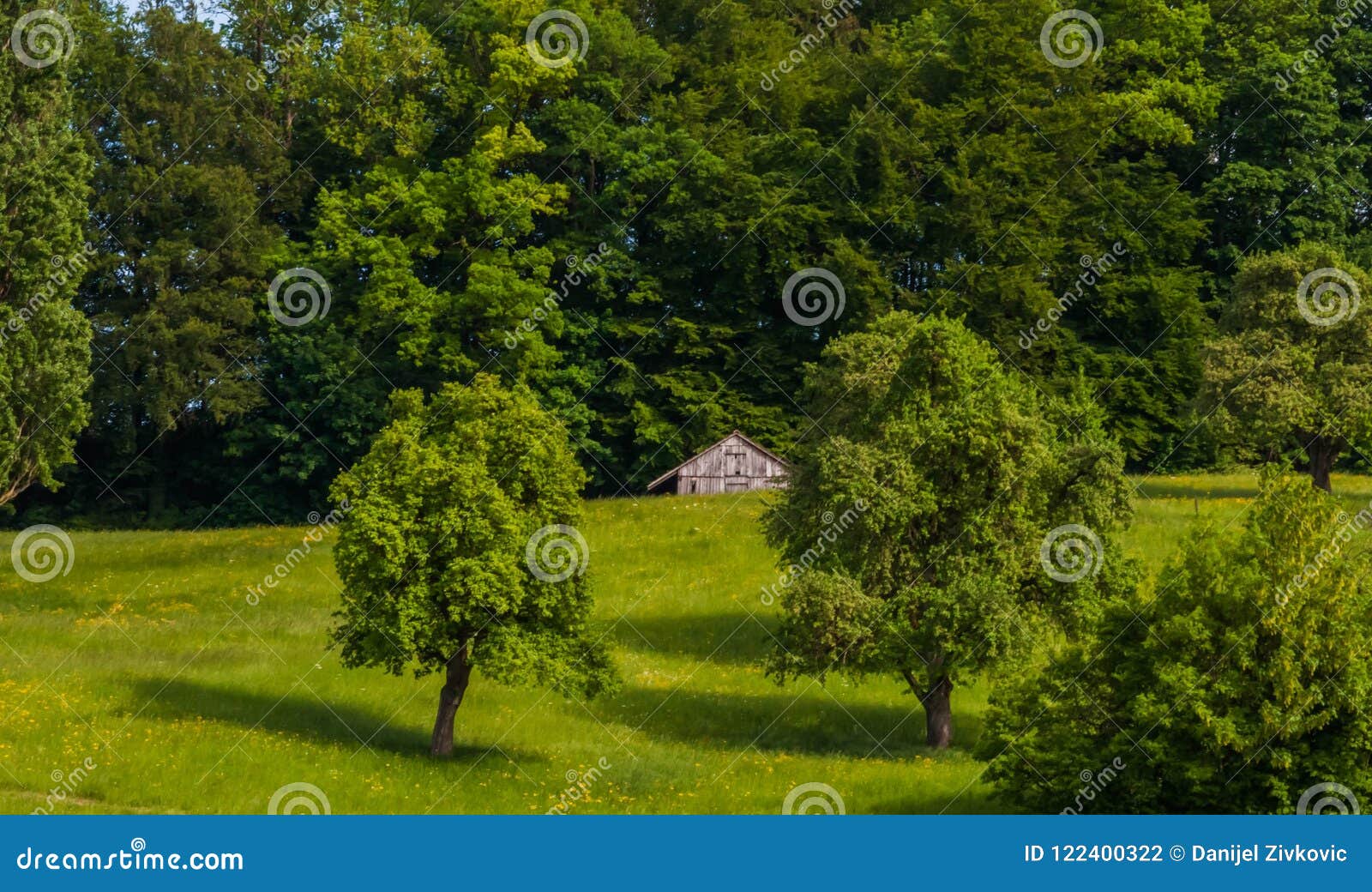 Hut in forest stock photo. Image of shadows, healt, woods - 122400322