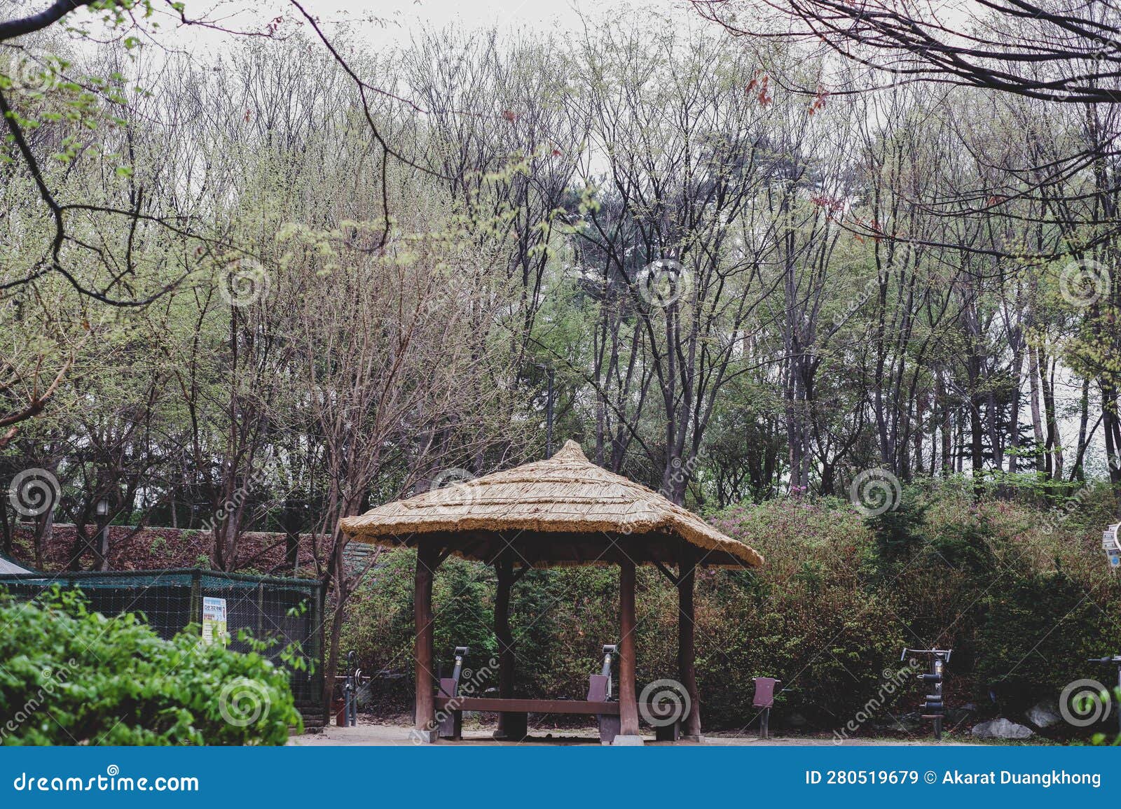 A Hut in between Forest for Resting Stock Image - Image of comfortable ...