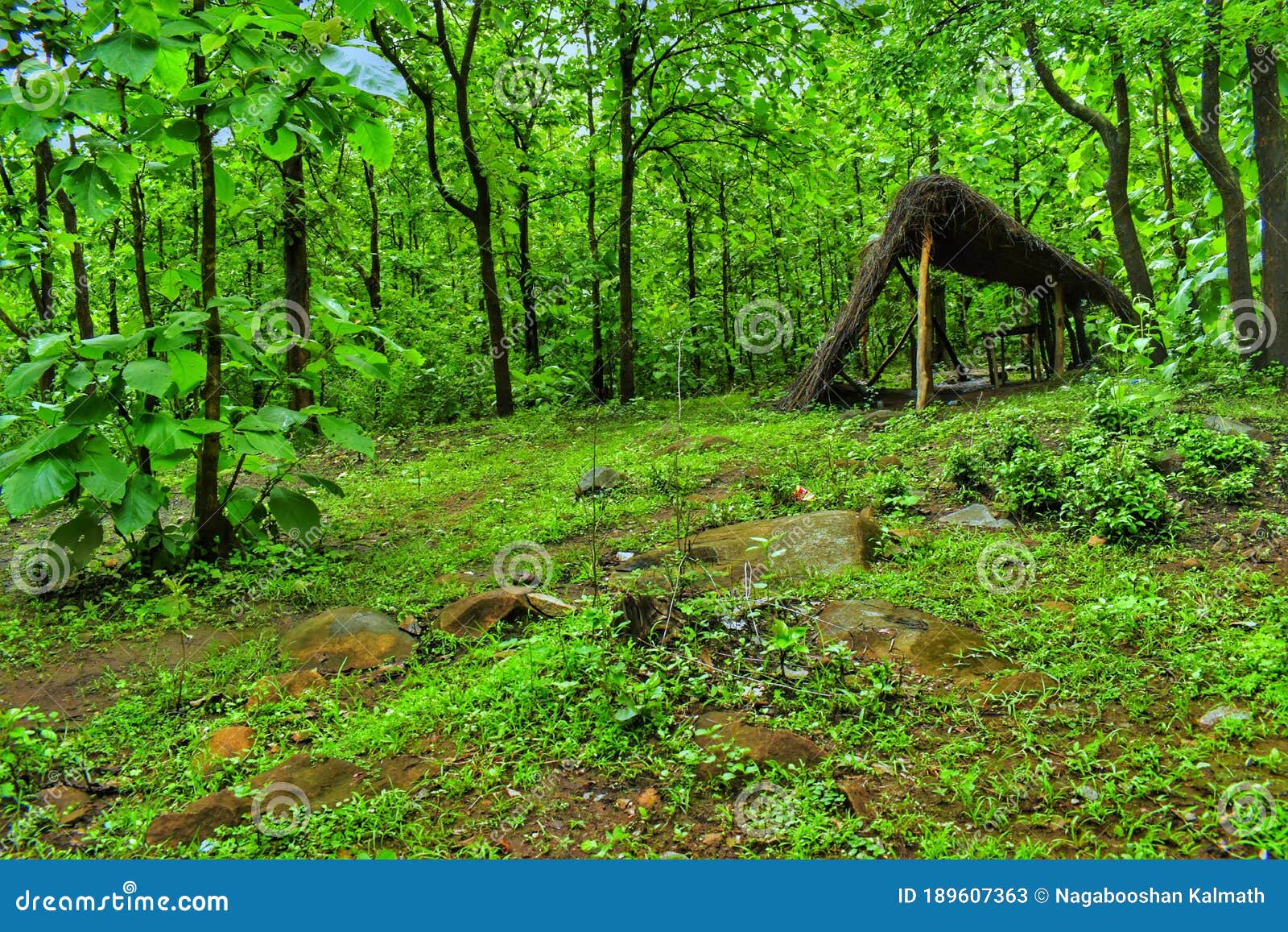 Hut stock image. Image of grass, tree, flower, soil - 189607363