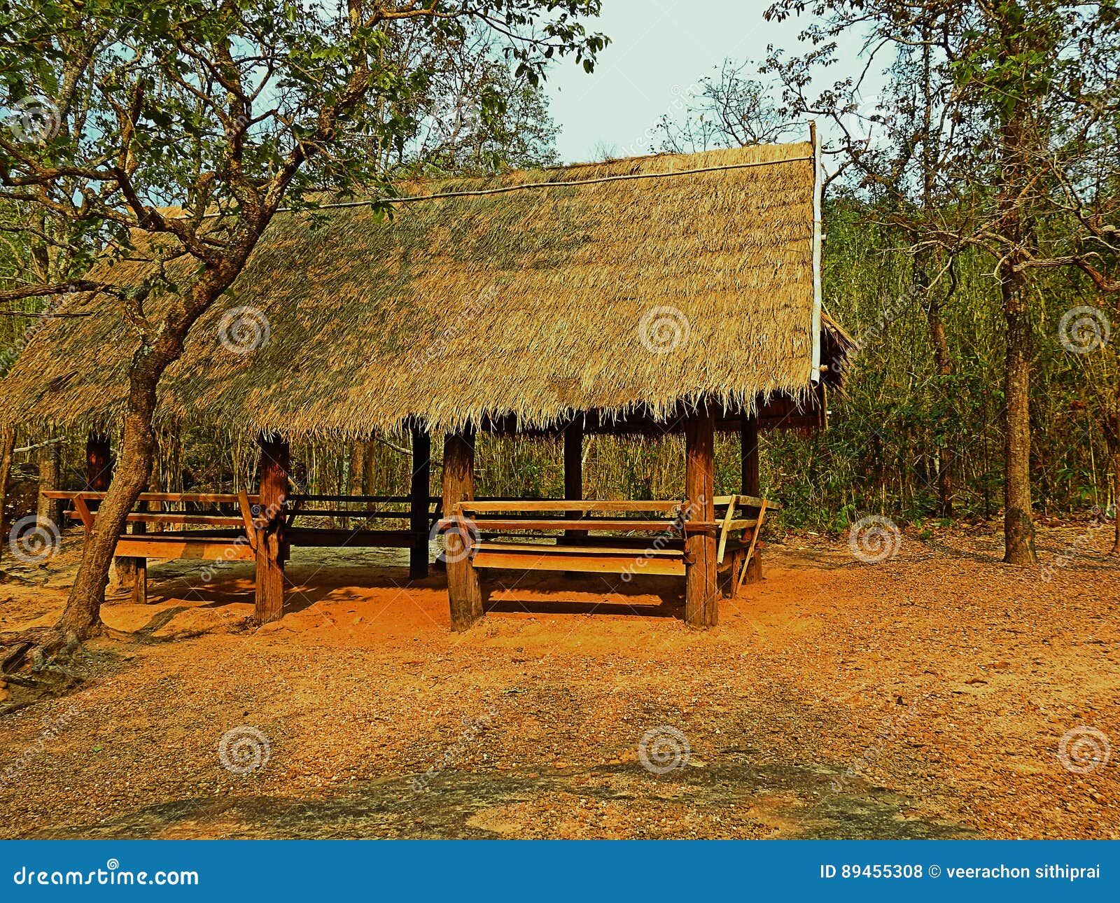 Hut in forest. stock photo. Image of palm, pattern, colorful - 89455308
