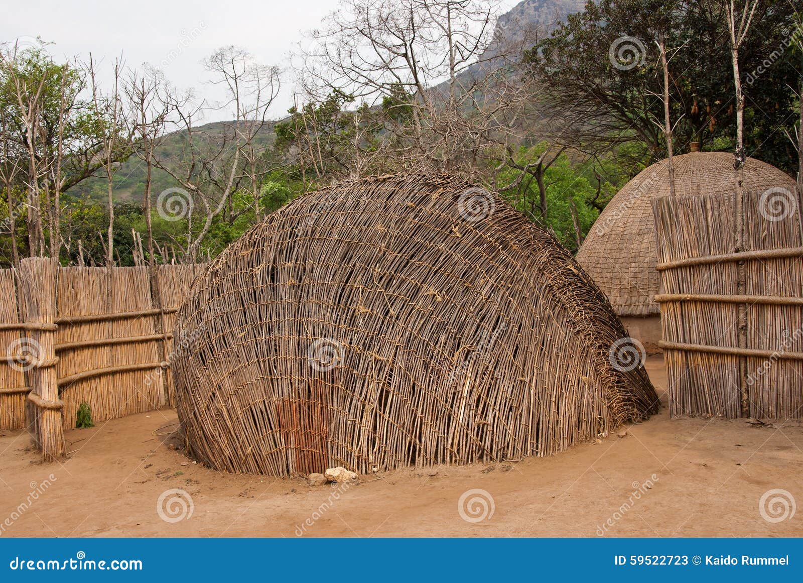 Hut frame stock image. Image of branches, sapling, dome - 59522723