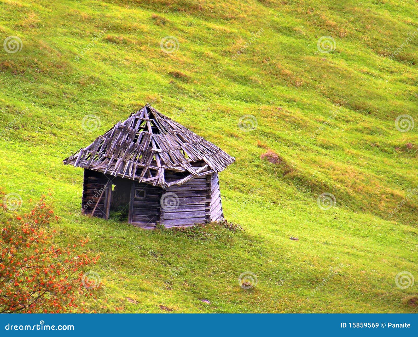 Hut in grass stock image. Image of natural, shelter, broken - 15859569