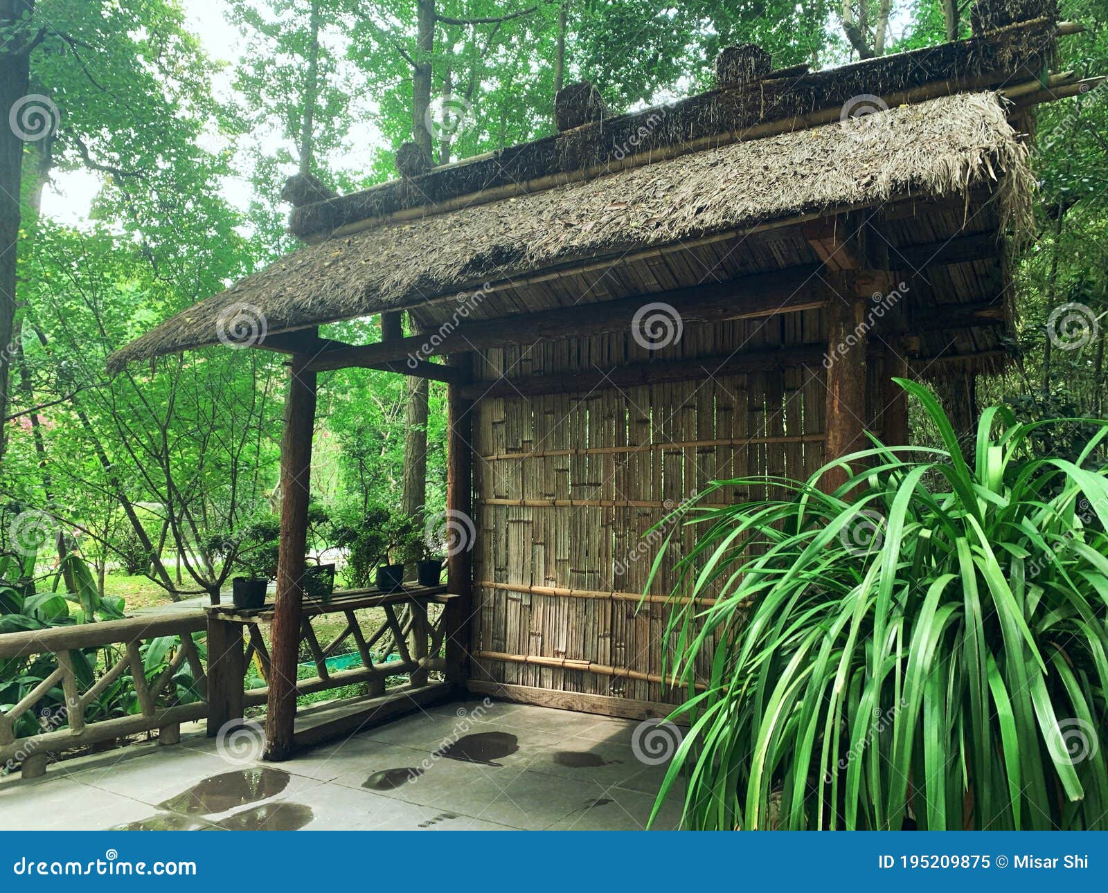 The gate of an old hut stock image. Image of gate, green - 195209875