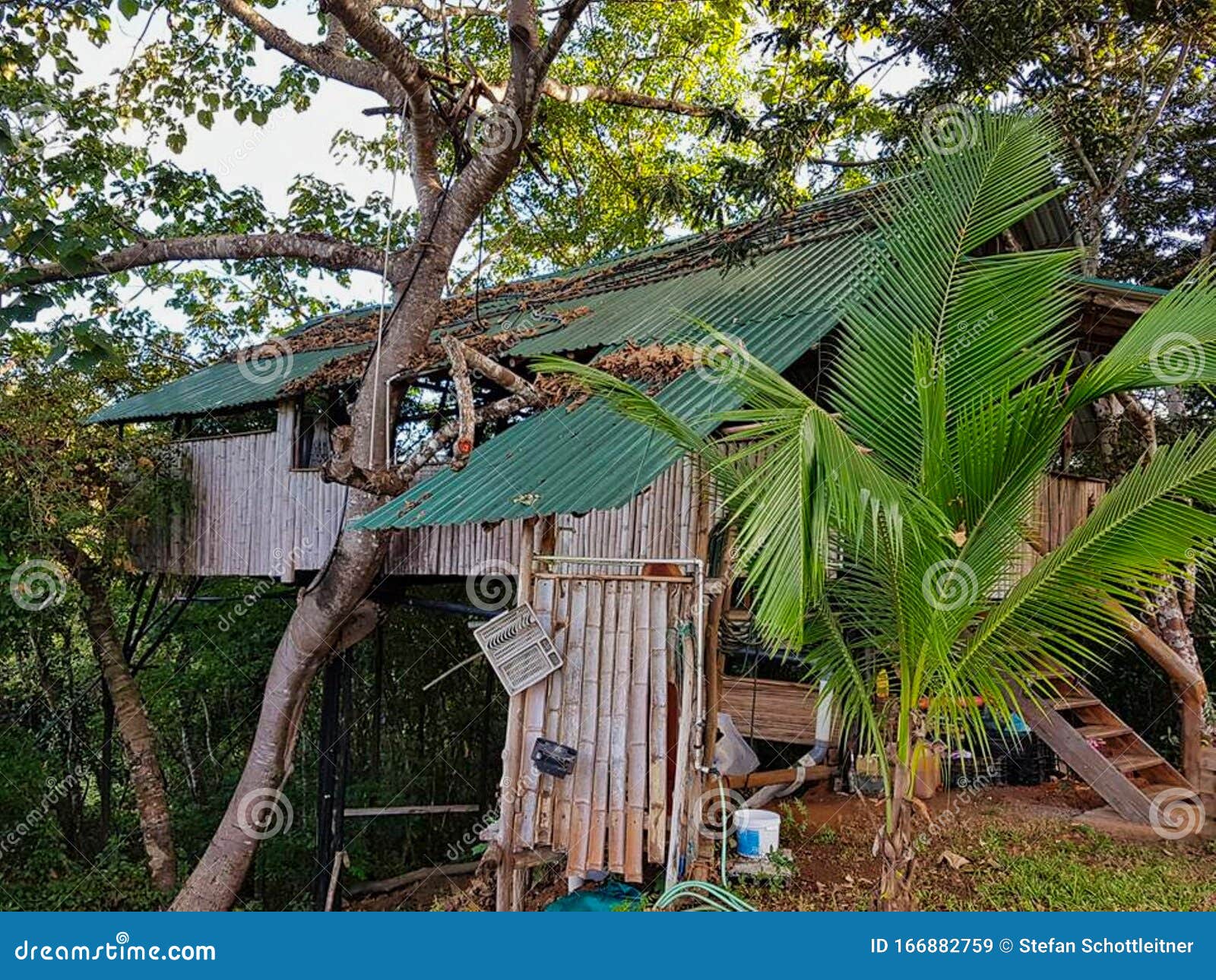 A hut in the jungle stock image. Image of architecture - 166882759