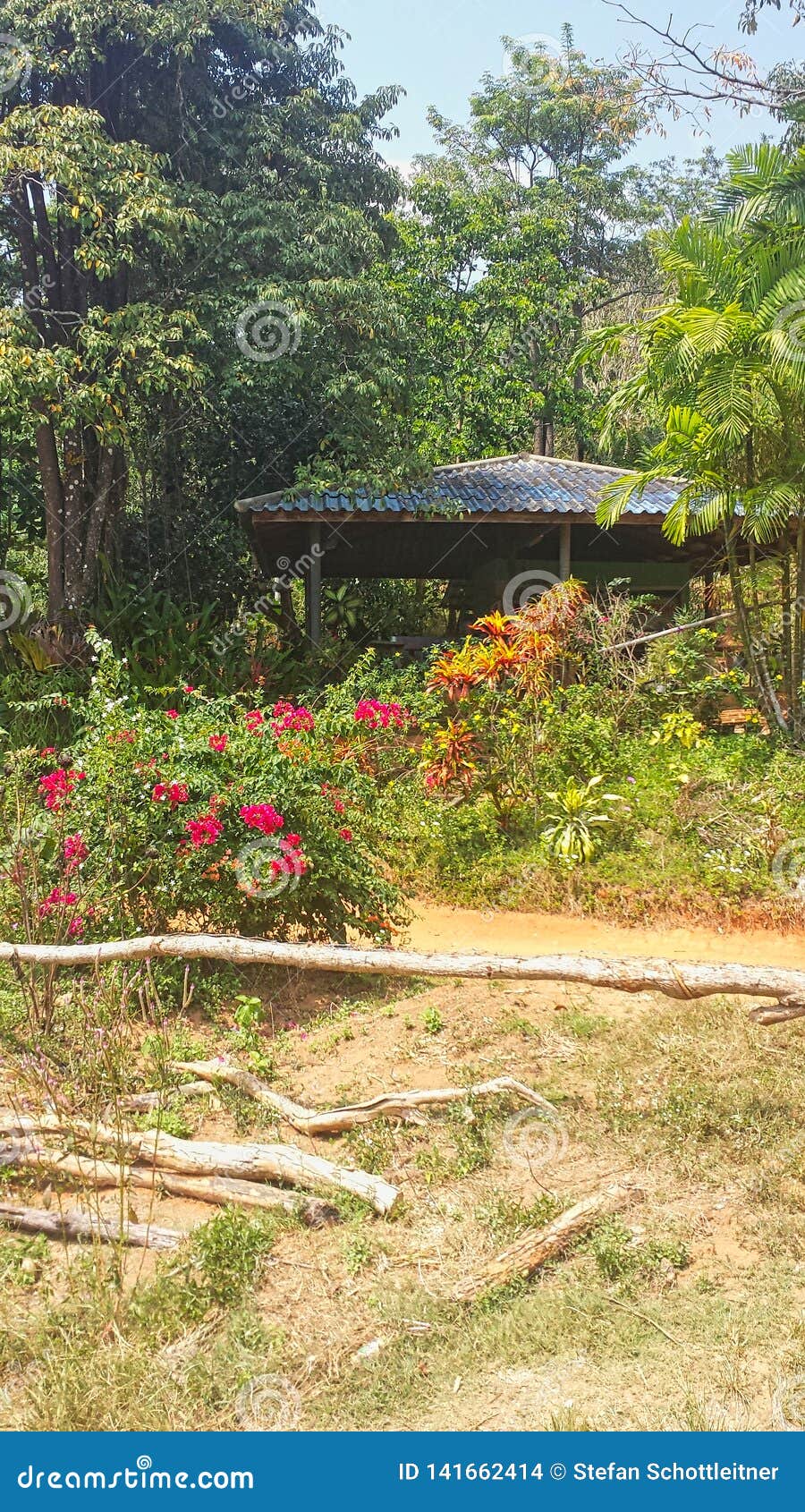 A hut in the jungle stock photo. Image of india, cafe - 141662414