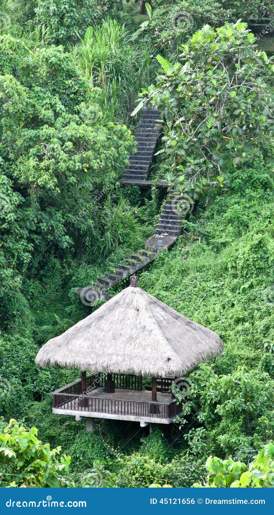 Hut in the jungle stock photo. Image of romantic, wooden - 45121656
