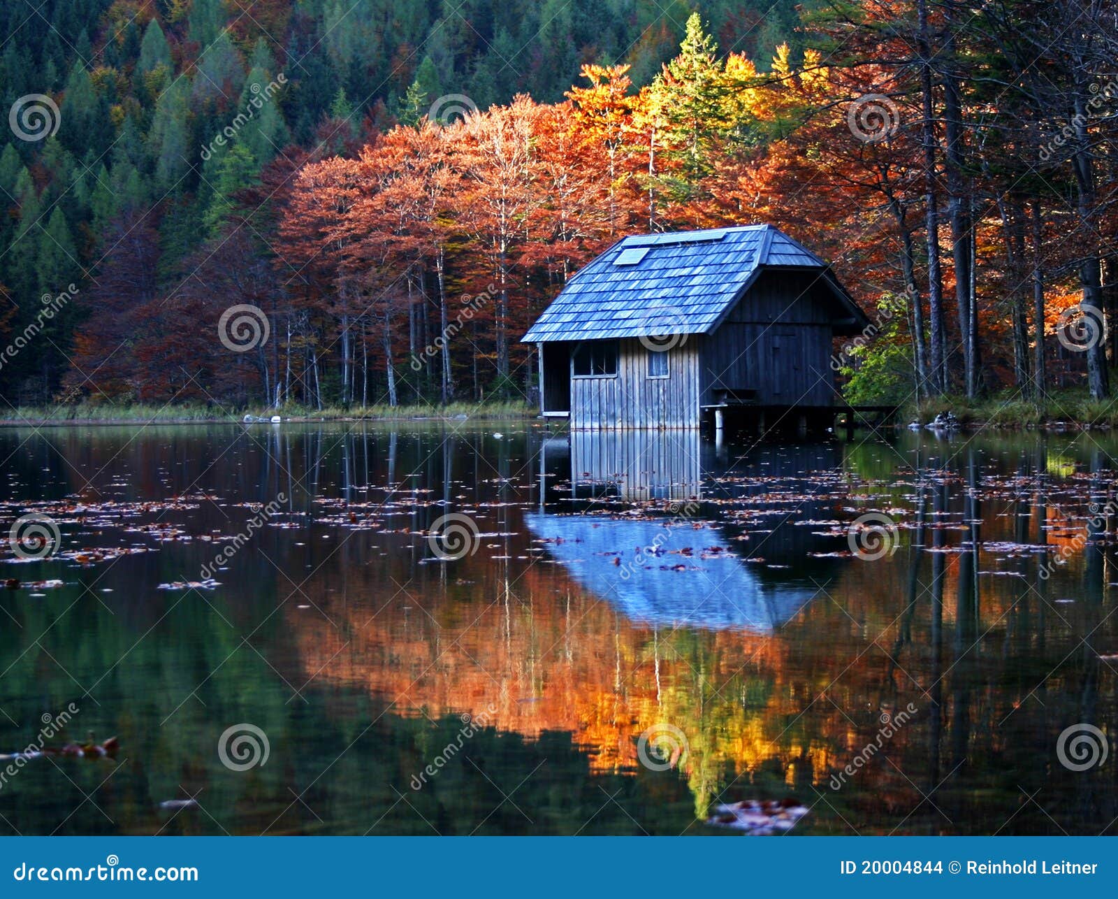 Hut on a lake. stock photo. Image of bright, leaf, shiny - 20004844
