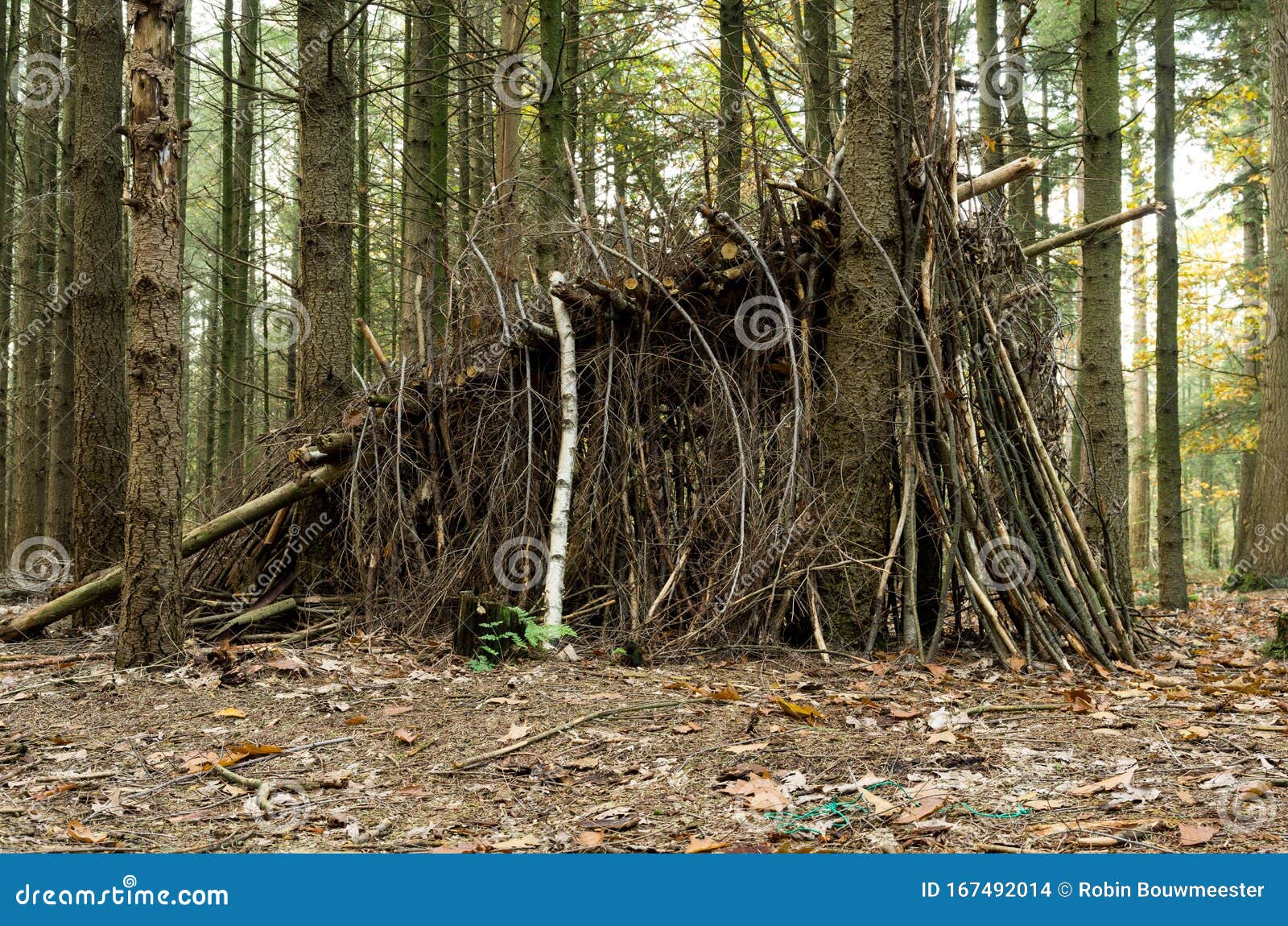 Hut Made of Branches in a Forest Stock Photo - Image of season ...