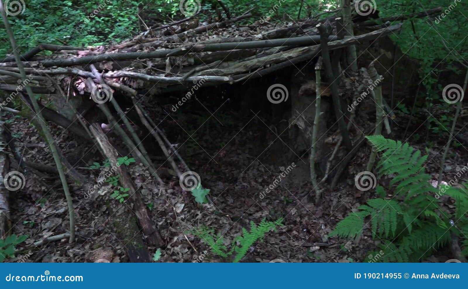 A Hut Made of Branches in the Forest, Panorama Stock Video - Video of ...