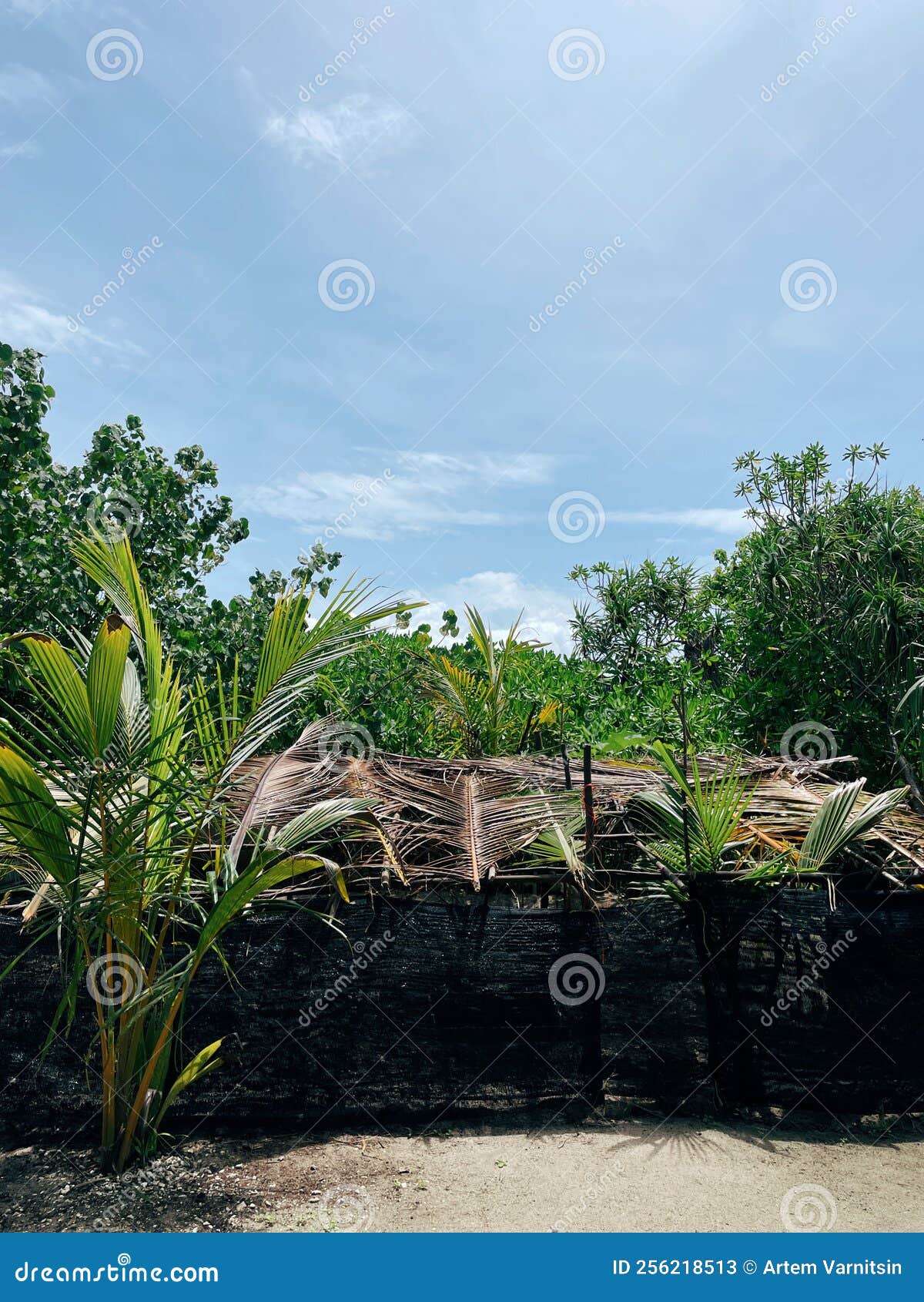Hut Made by Palm Trees on a Tropical Island Stock Image - Image of ...
