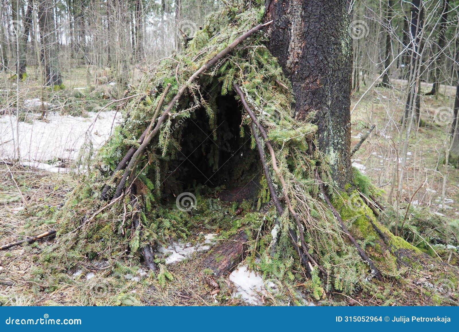 A Hut Made of Spruce Branches in the Karelian Forest. a Hut is the ...