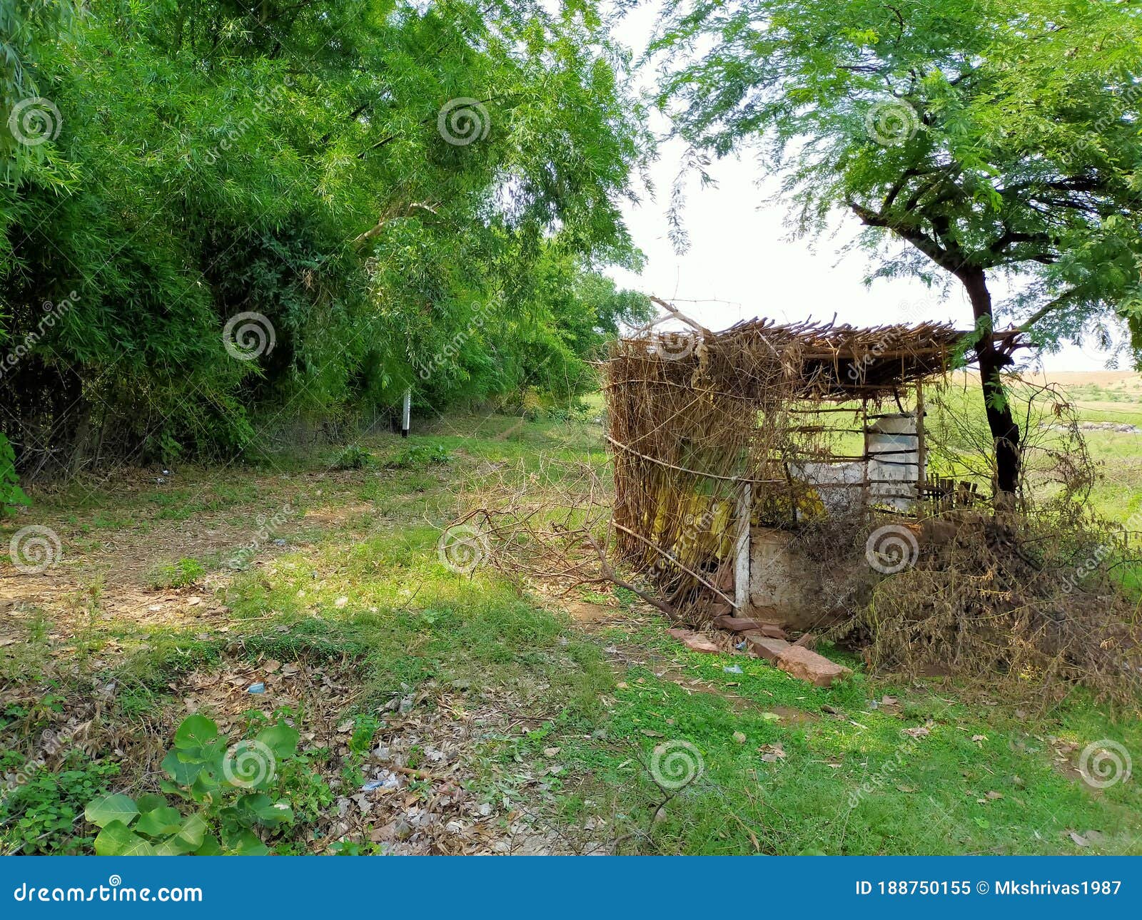 Hut made of stick stock image. Image of plantation, backyard - 188750155