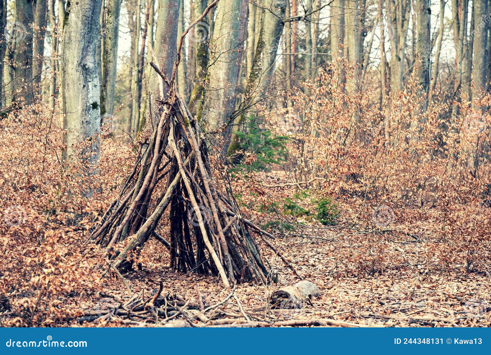 A Hut Made of Tree Branches Stock Image - Image of gold, footpath ...