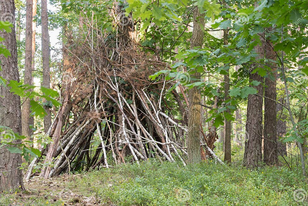 Hut made of tree branches stock photo. Image of forest - 192459844