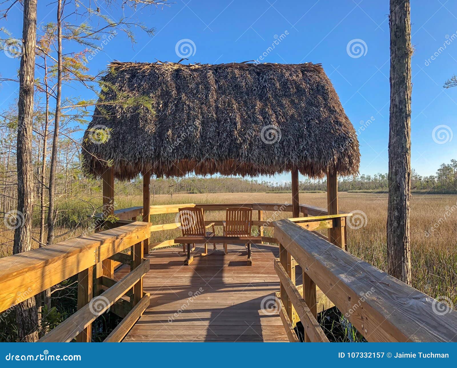 Hut in the marsh stock image. Image of landscape, jungle - 107332157