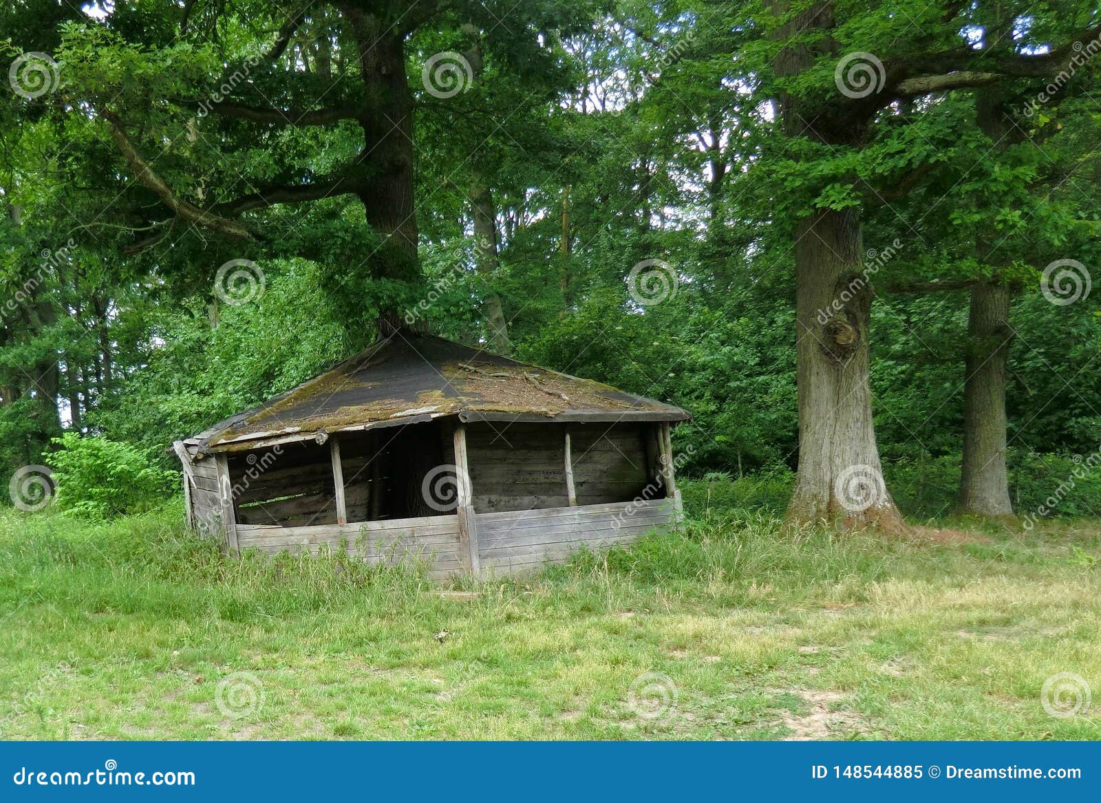 Hut1 stock image. Image of green, open, forest, trees - 148544885