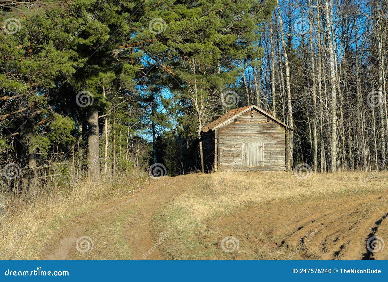 A hut in the open stock photo. Image of tree, landscape - 247576240