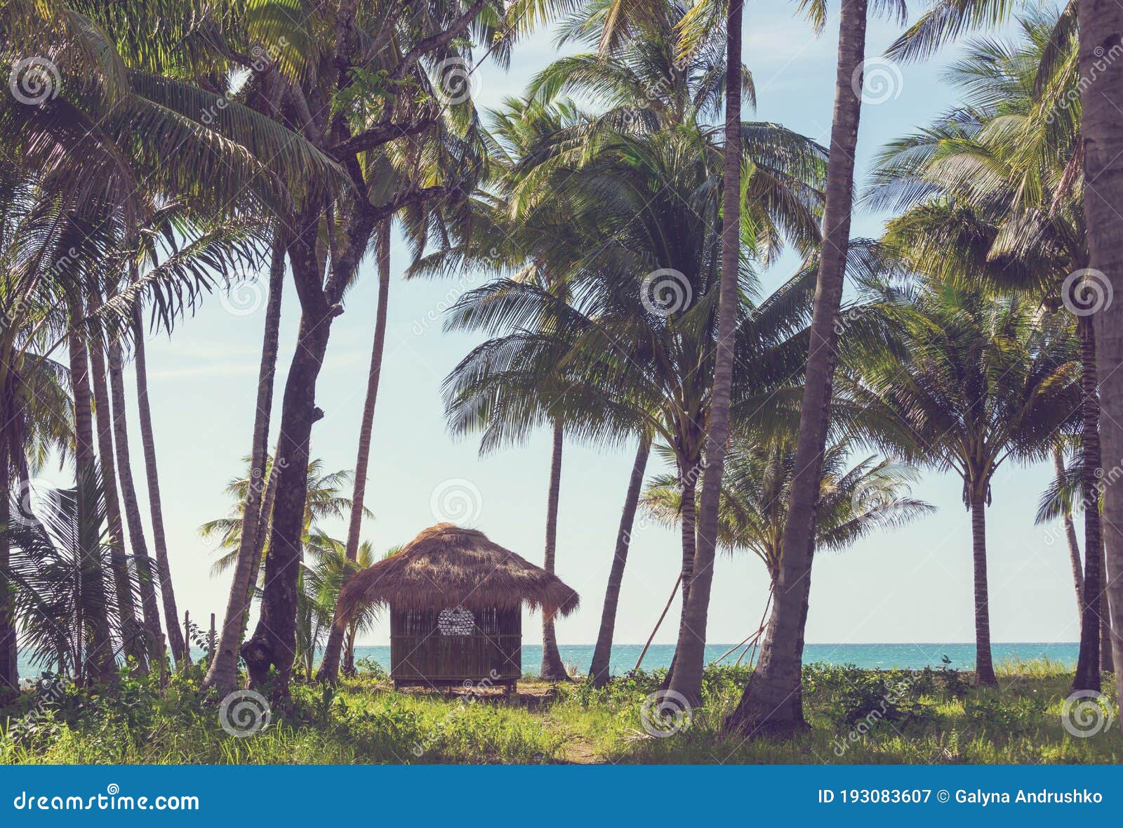 Hut in Palawan stock image. Image of island, seascape - 193083607
