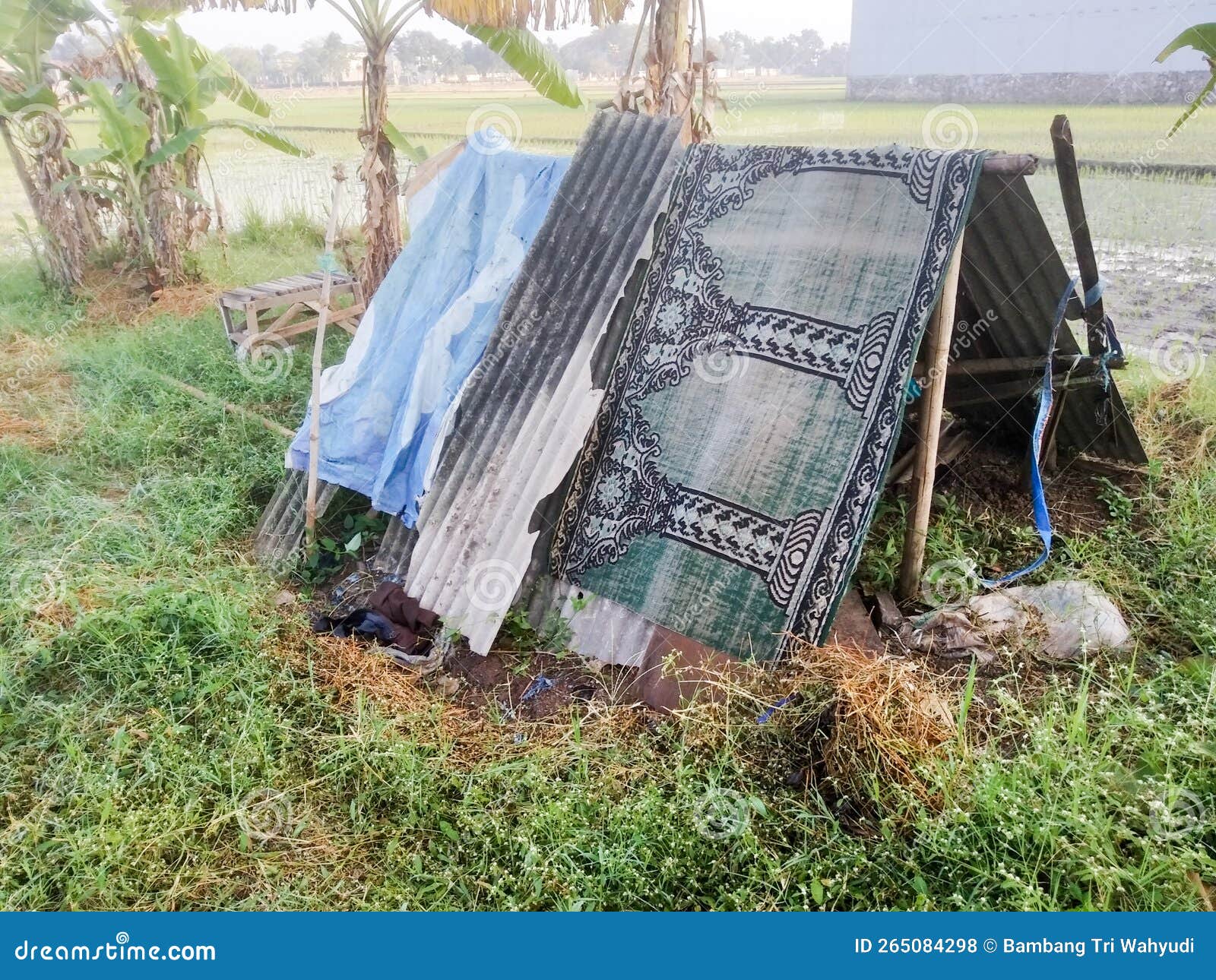 Hut for peasant rest stock photo. Image of tree, farm - 265084298