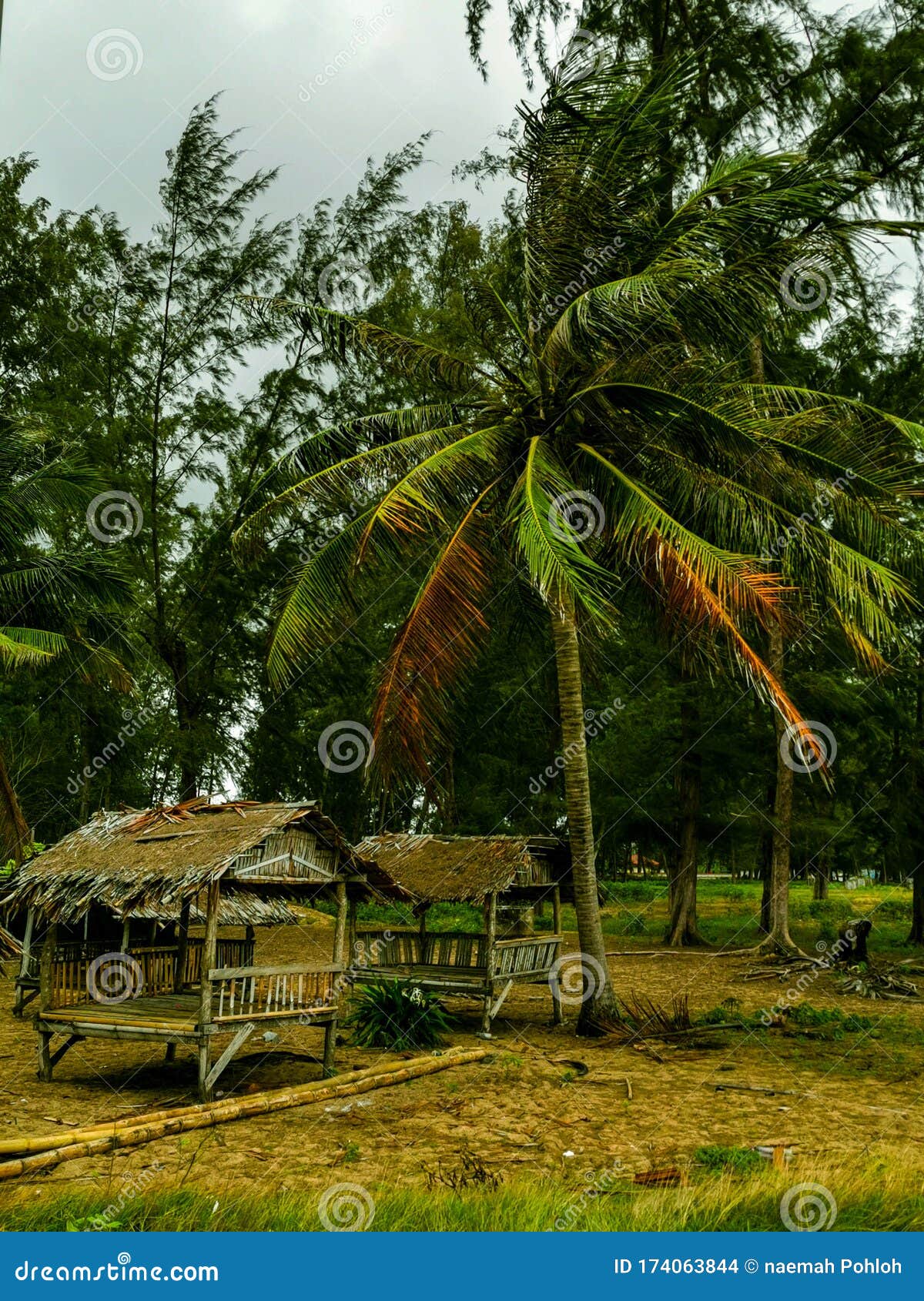 A Hut Is A Primitive Dwelling, Which May Be Constructed Of Various ...