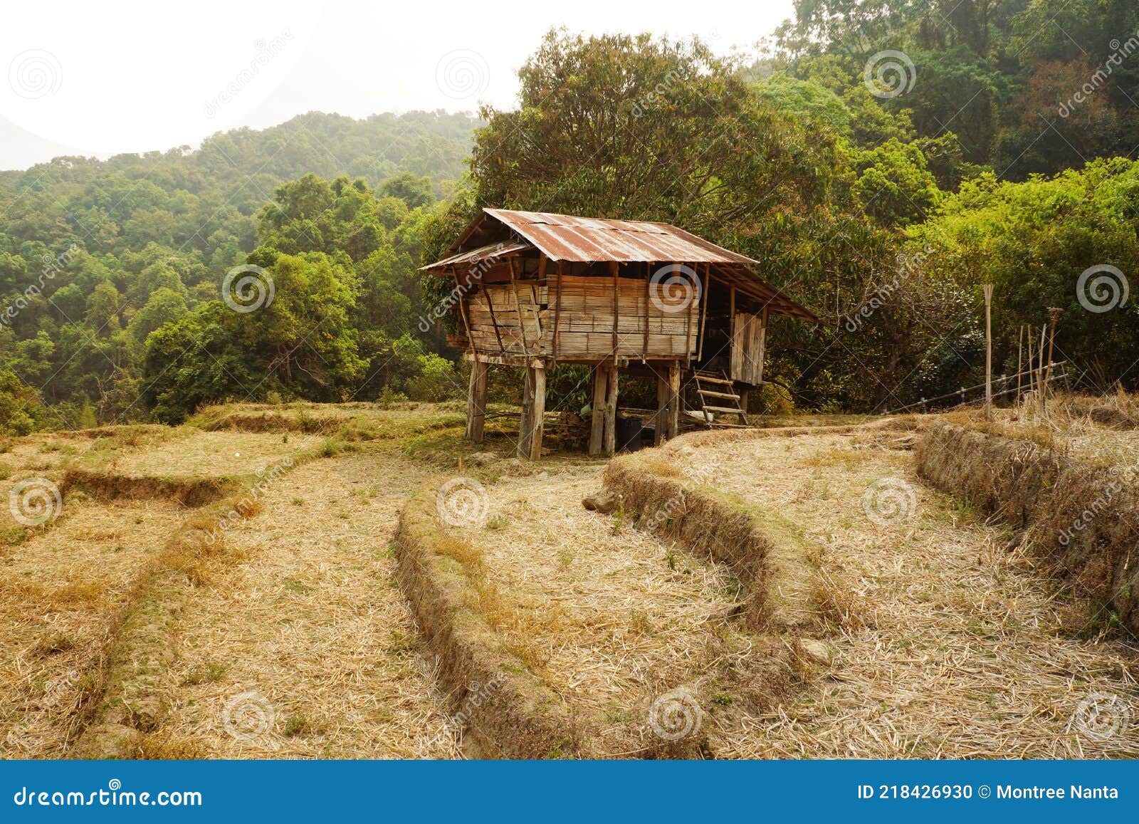 A Hut Is A Primitive Dwelling, Which May Be Constructed Of Various ...