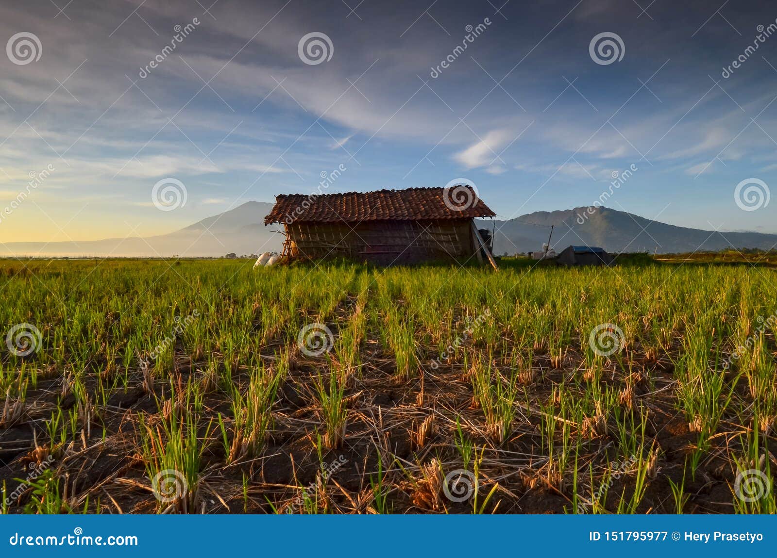 Hut at Rice Field with Mountain Background Stock Image - Image of ...