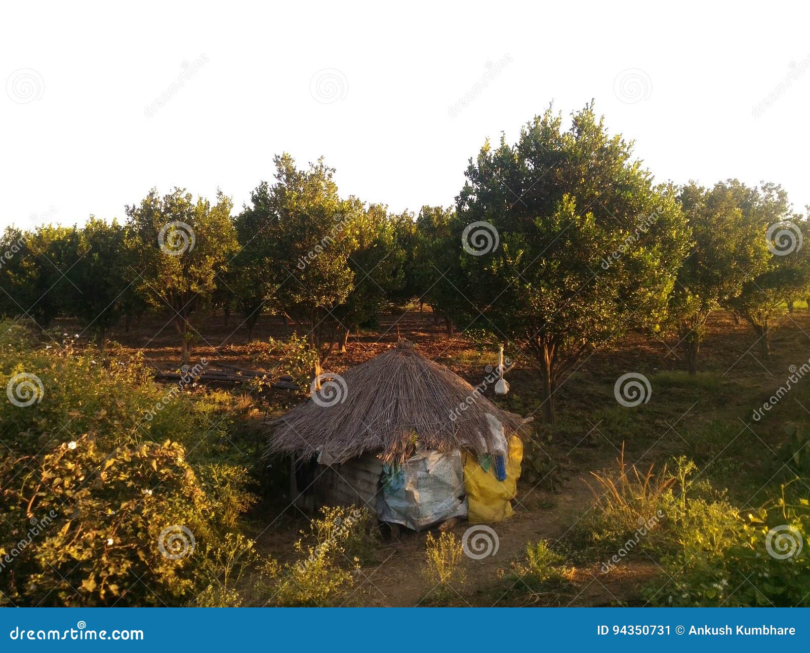 Hut stock image. Image of scenery, nature, background - 94350731