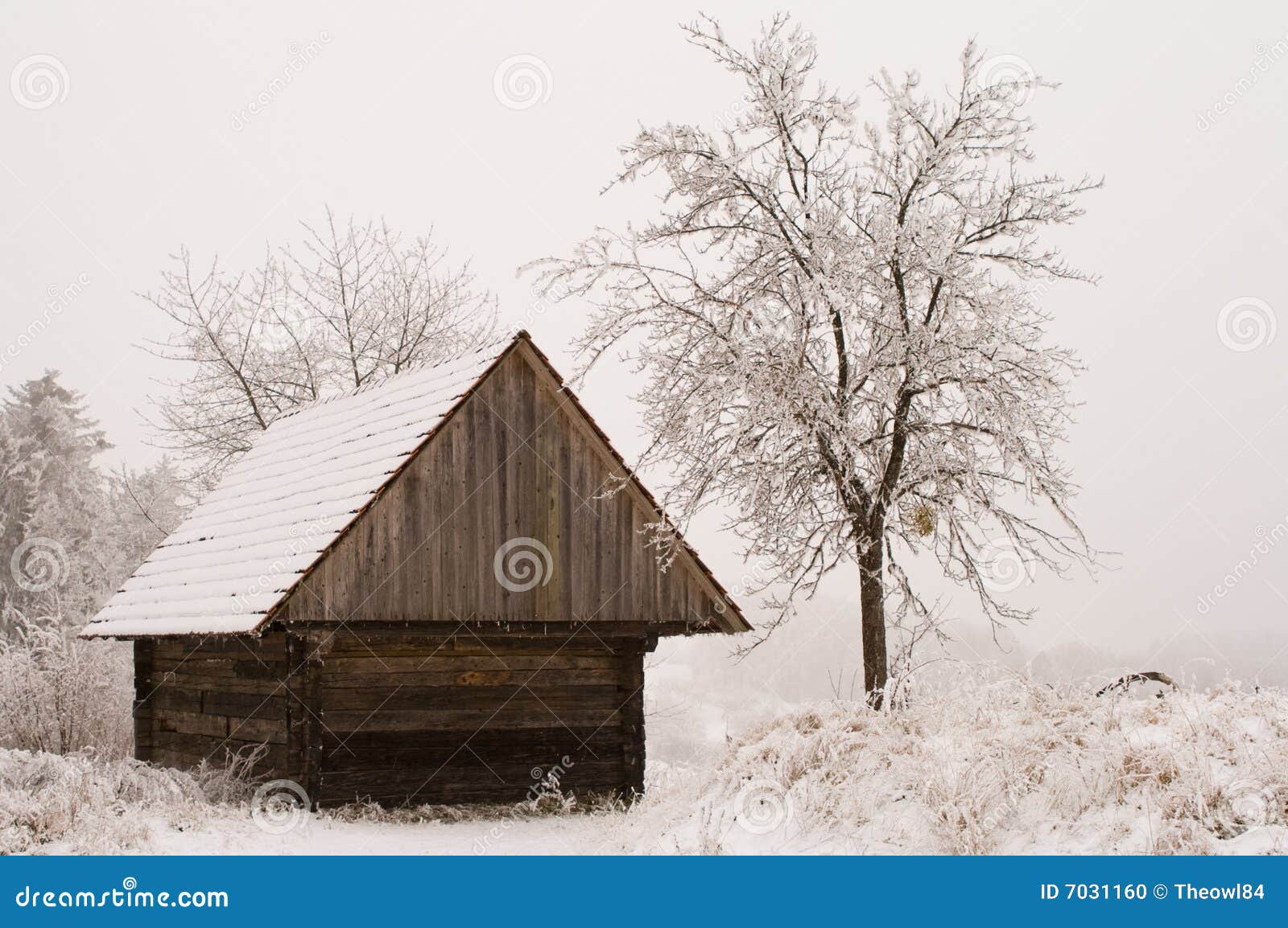 Hut in the snow stock photo. Image of covered, branches - 7031160