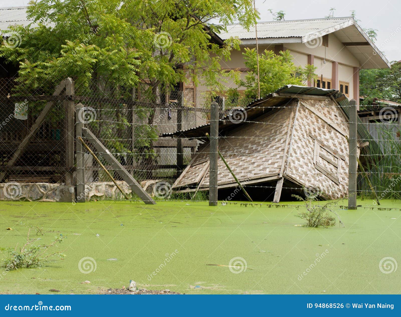 HUT SUBMERGED in MUD in MANDALAY Stock Photo - Image of green, farm ...