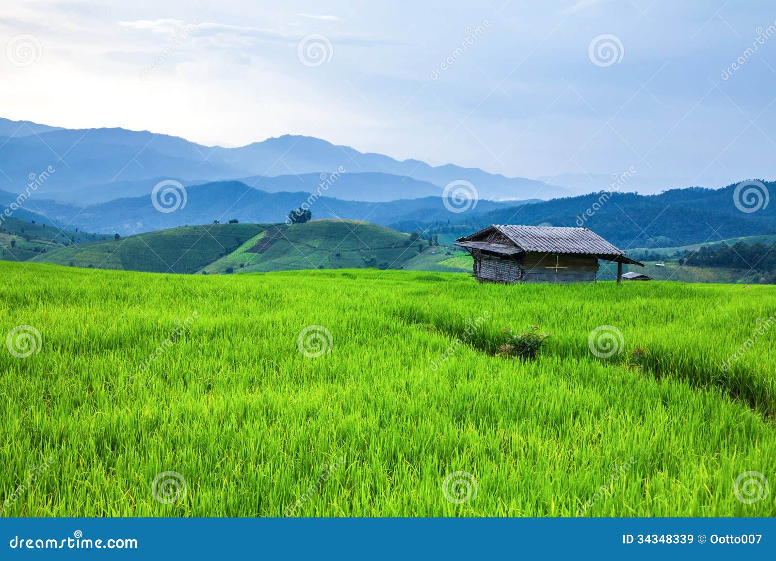 Hut and terrace rice field stock image. Image of agriculture - 34348339