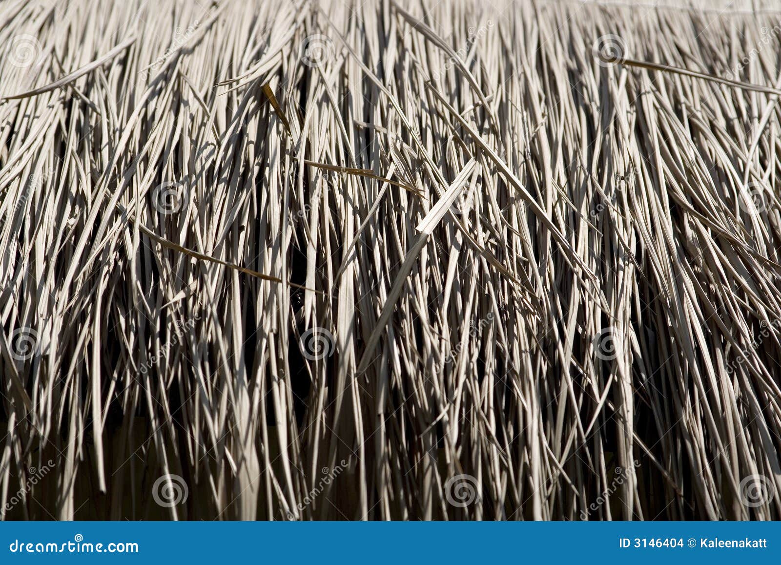 Hut Texture stock photo. Image of rustic, grid, nature - 3146404