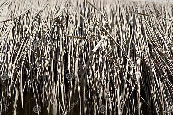 Hut Texture stock photo. Image of rustic, grid, nature - 3146404