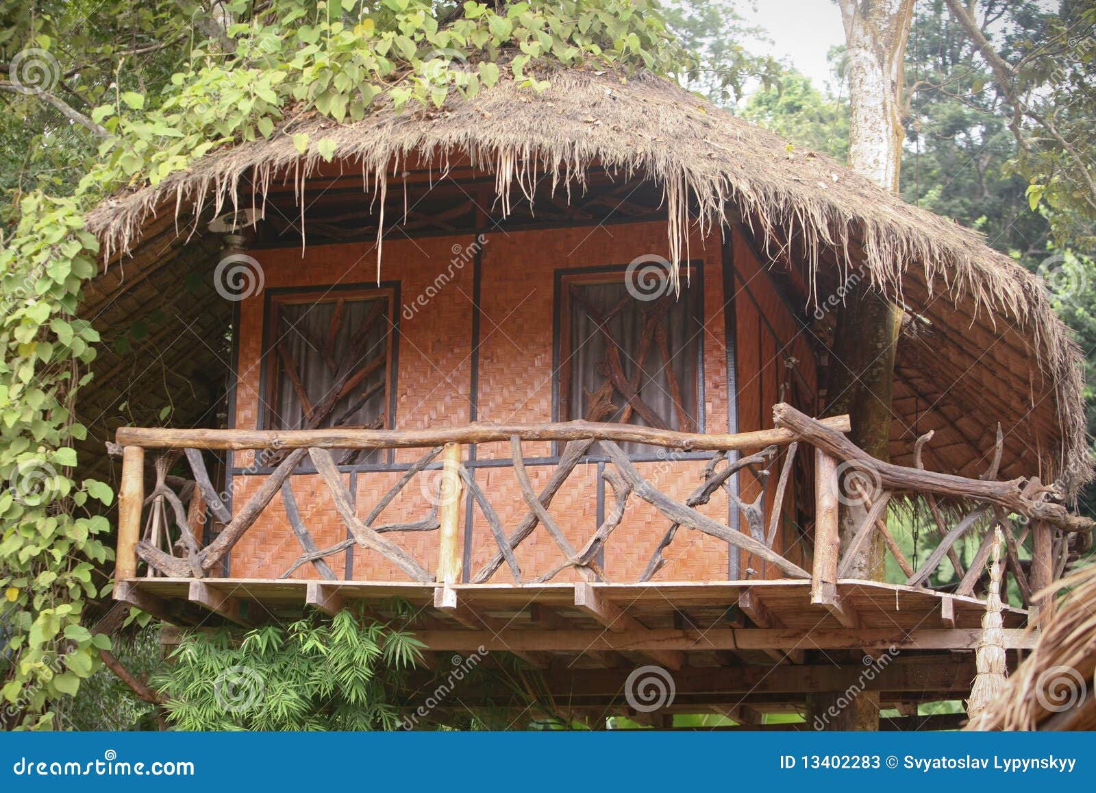 Hut in Top of Tree in Jungle Stock Image - Image of hotel, outdoor ...