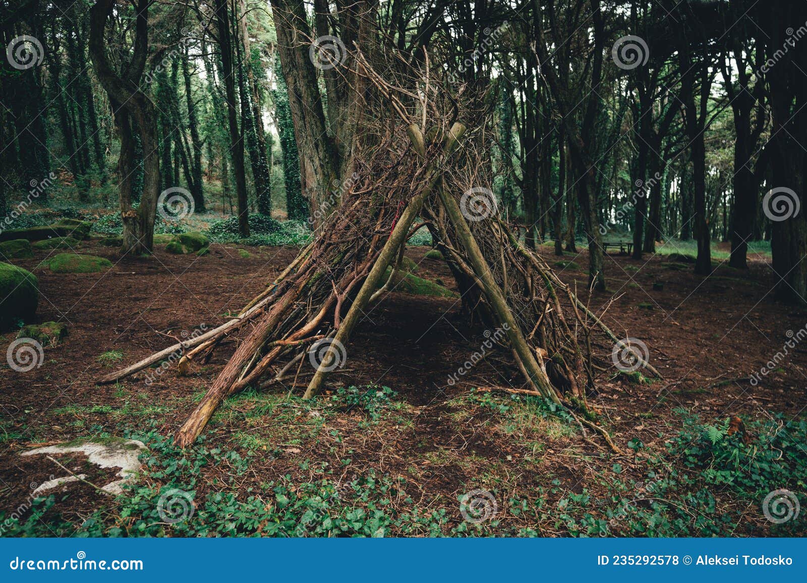 Hut of Twigs and Branches in Forest Stock Photo - Image of outdoor ...
